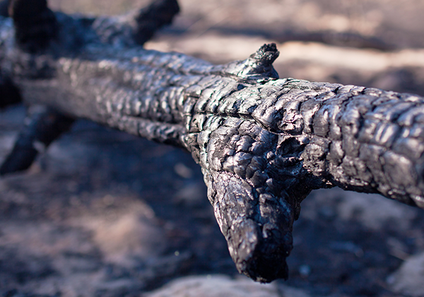 Wildfire Soot Inspection & Testing Services | MSE Environmental