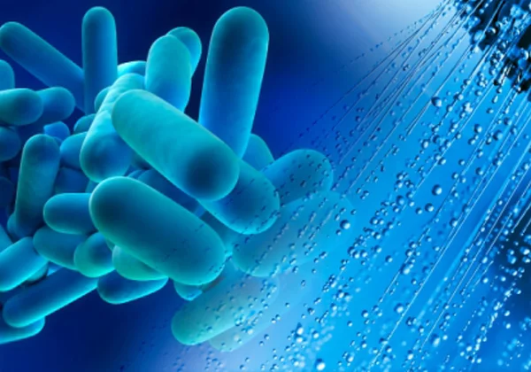 Legionella Testing & Inspection | MSE Environmental