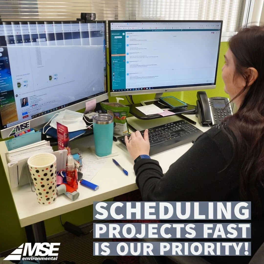 MSE Environmental | Mold Testing | Asbestos Testing