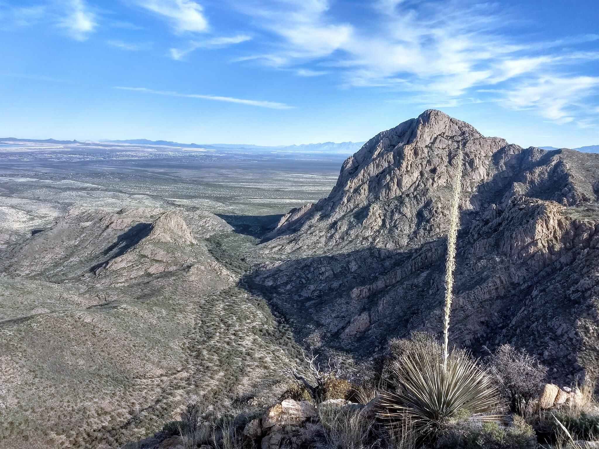 Elephant Head, AZ | Mold Testing & Asbestos Testing