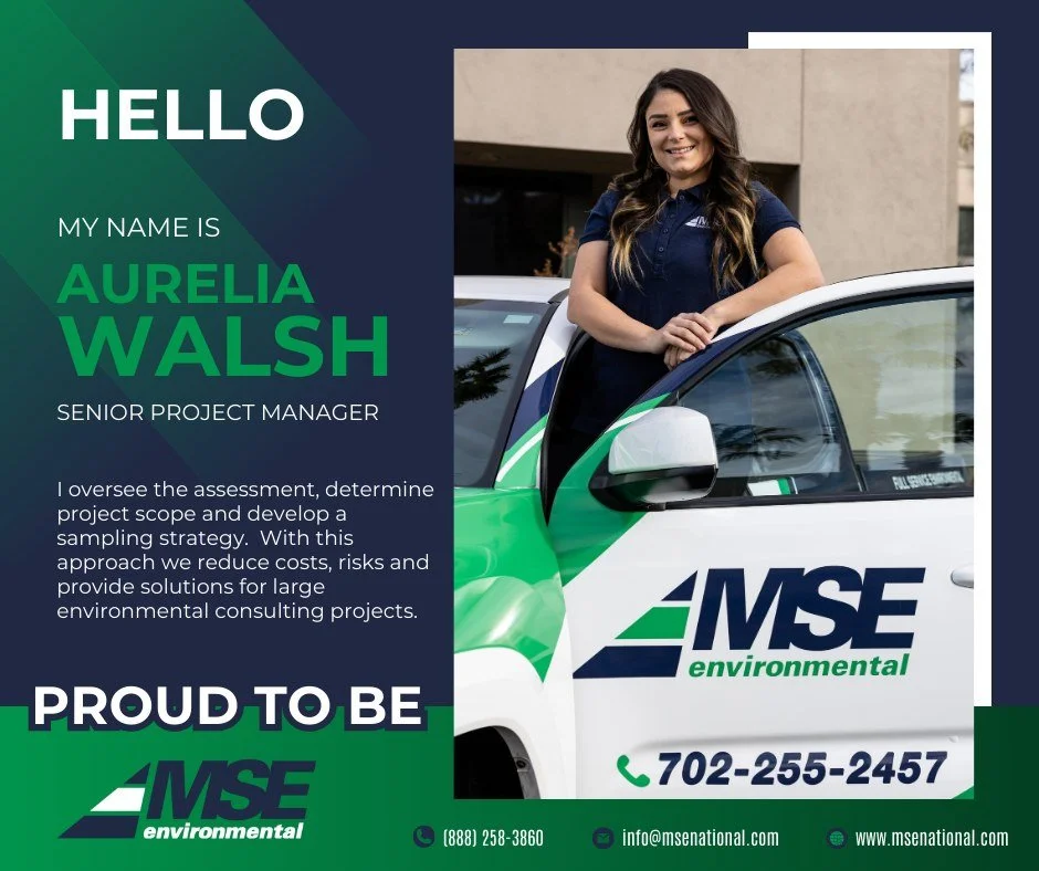 Projects — MSE ENVIRONMENTAL