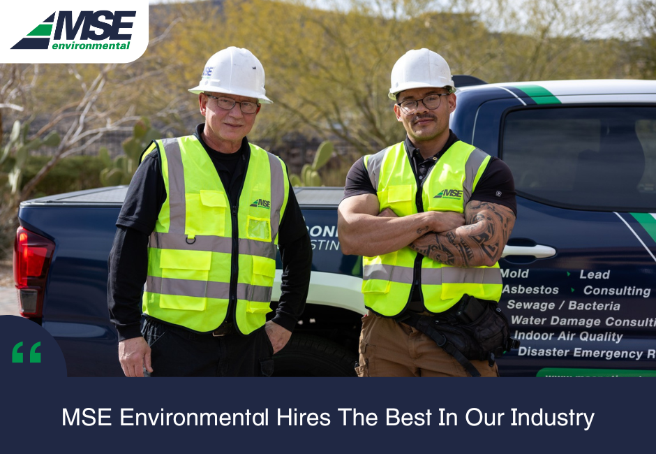 MSE Environmental Offers Top Environmental Services Careers!