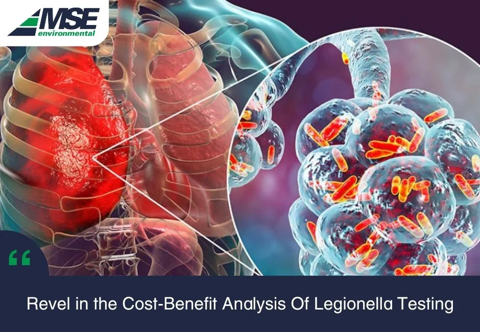 Legionella Testing Cost-Benefit Guide | MSE Environmental