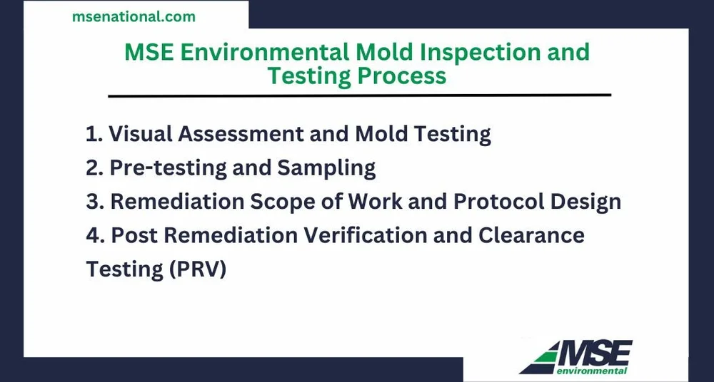 Mold Inspection and Testing: MSE Environmental Solutions