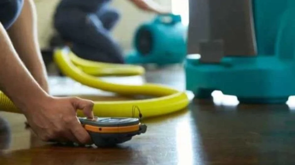 MSE Environmental: Does Water Damage Testing Still Matter?