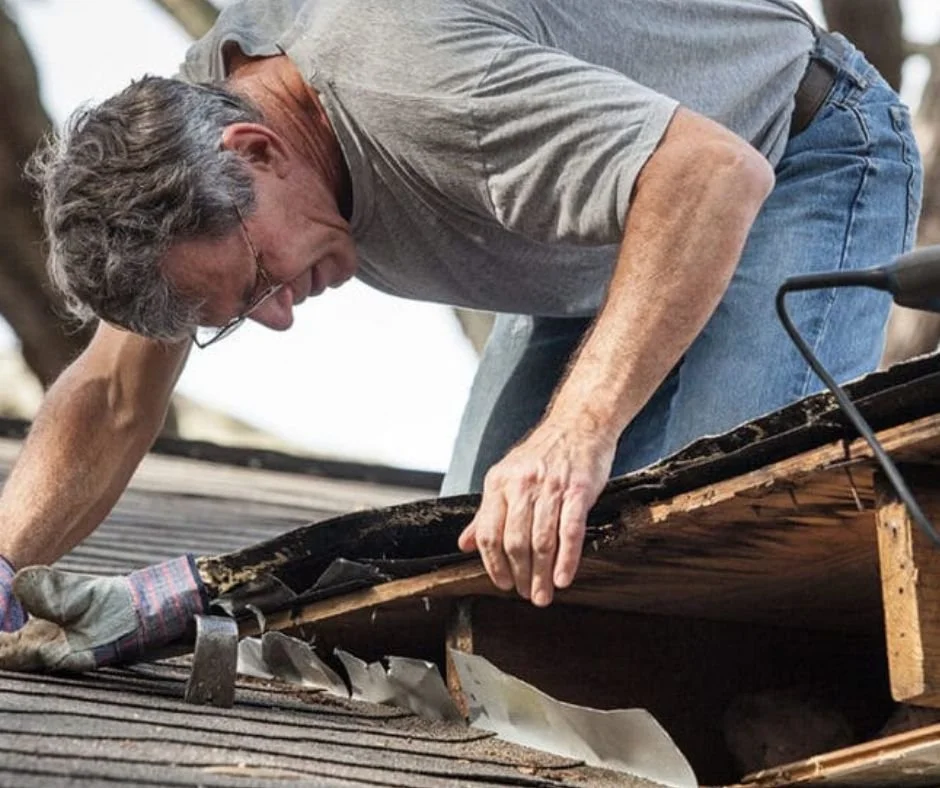 Get The Best Mold Testing with MSE Environmental Now