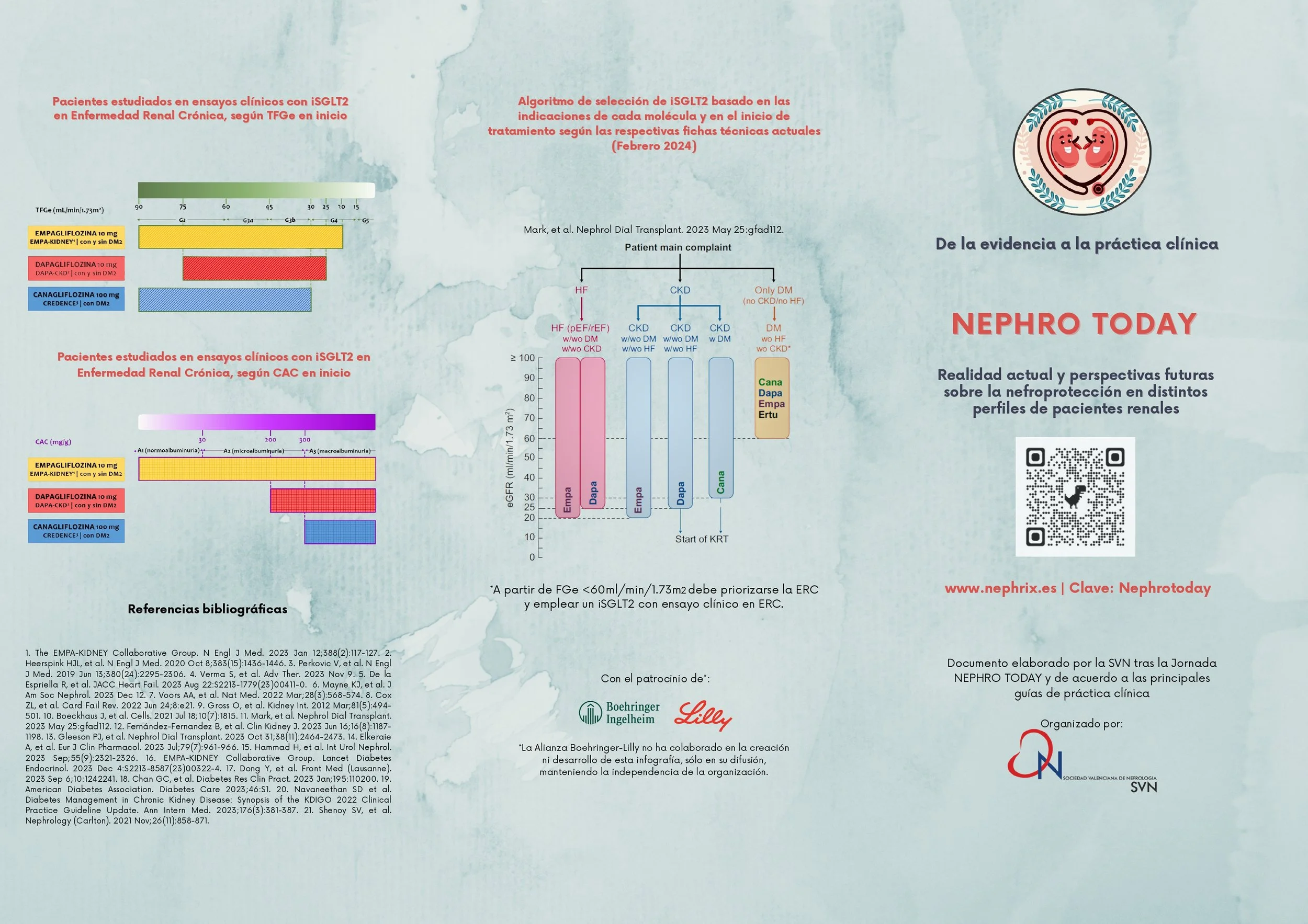 Infografía Nephro Today - De la evidencia a la práctica clínica ...