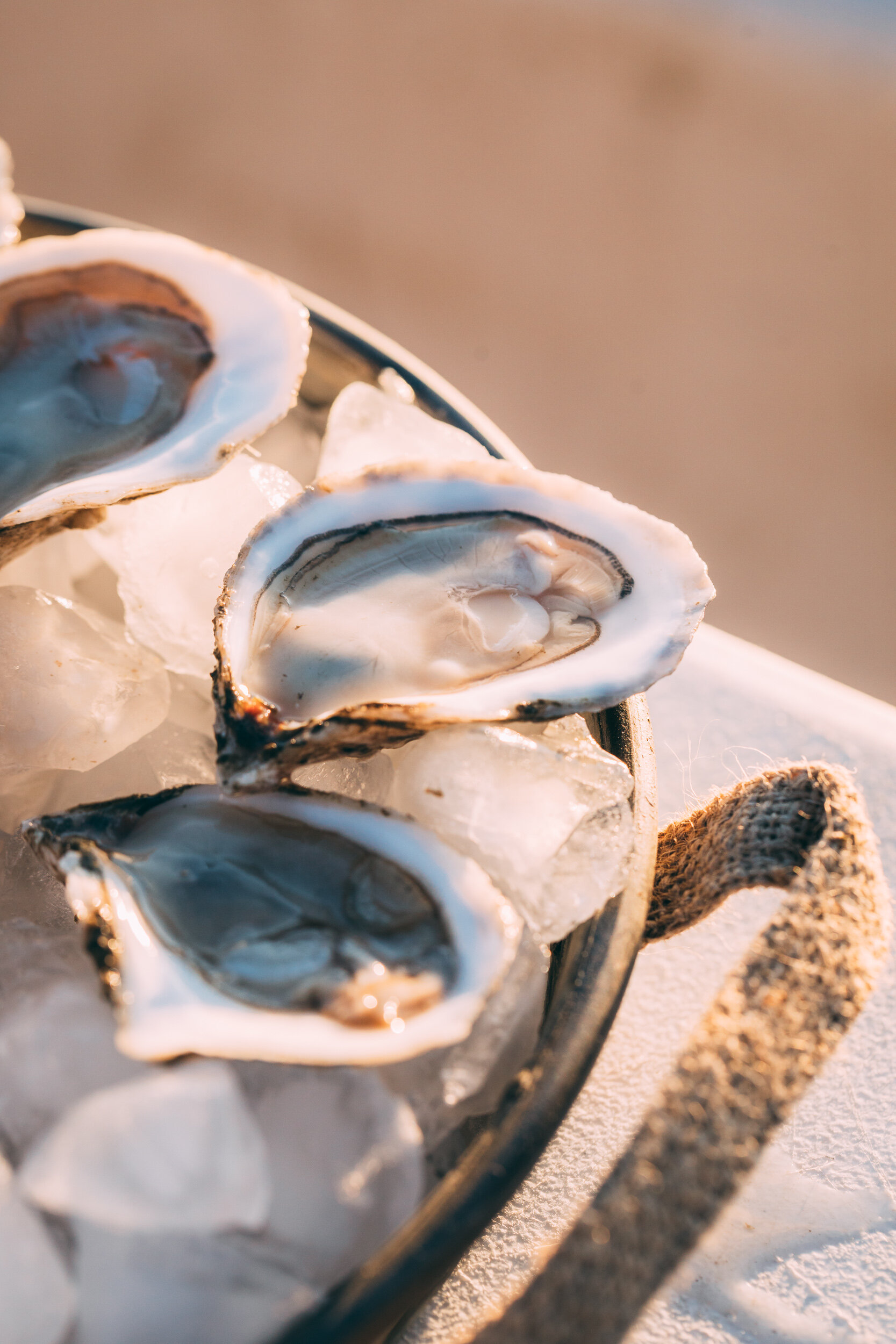 Shop — Love Point Oysters