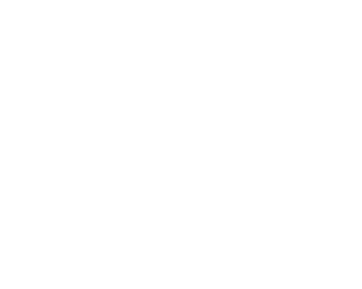 Borough | North Loop | Lunch, Happy Hour, Dinner