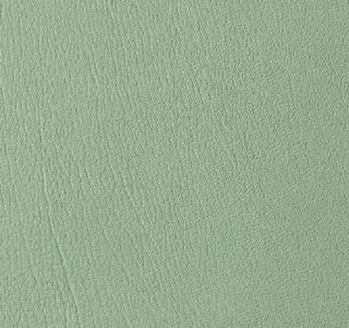 BoltaFlex Colorguard