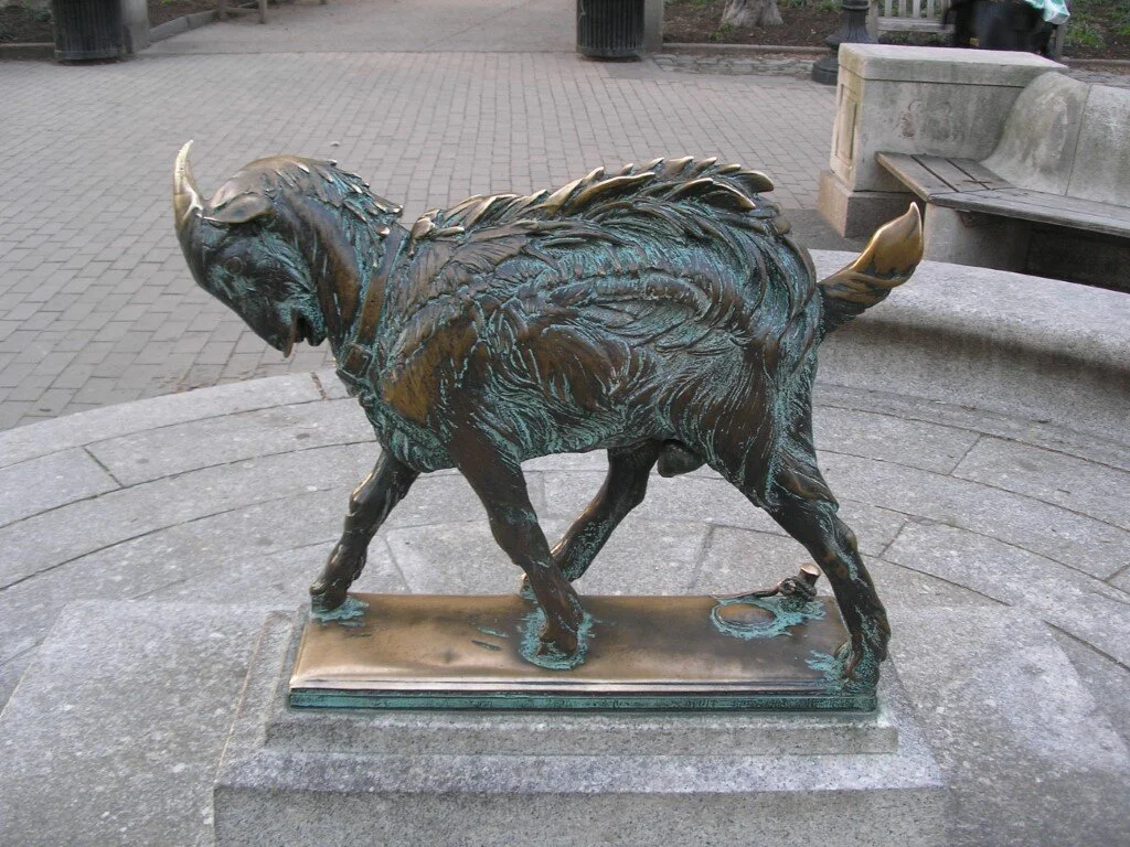 Billy Goat — KREILICK CONSERVATION, LLC