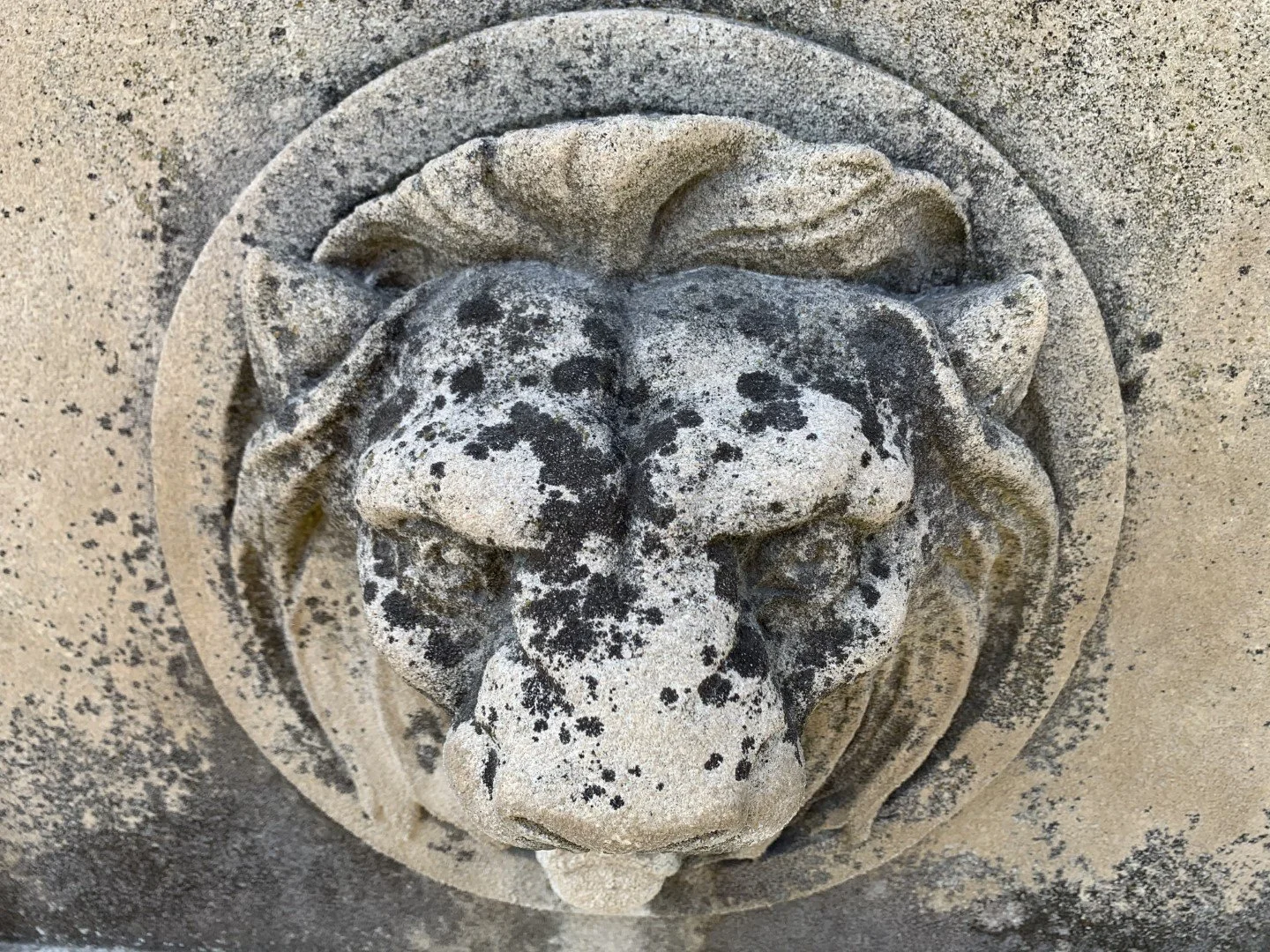 Step Fountain — KREILICK CONSERVATION, LLC