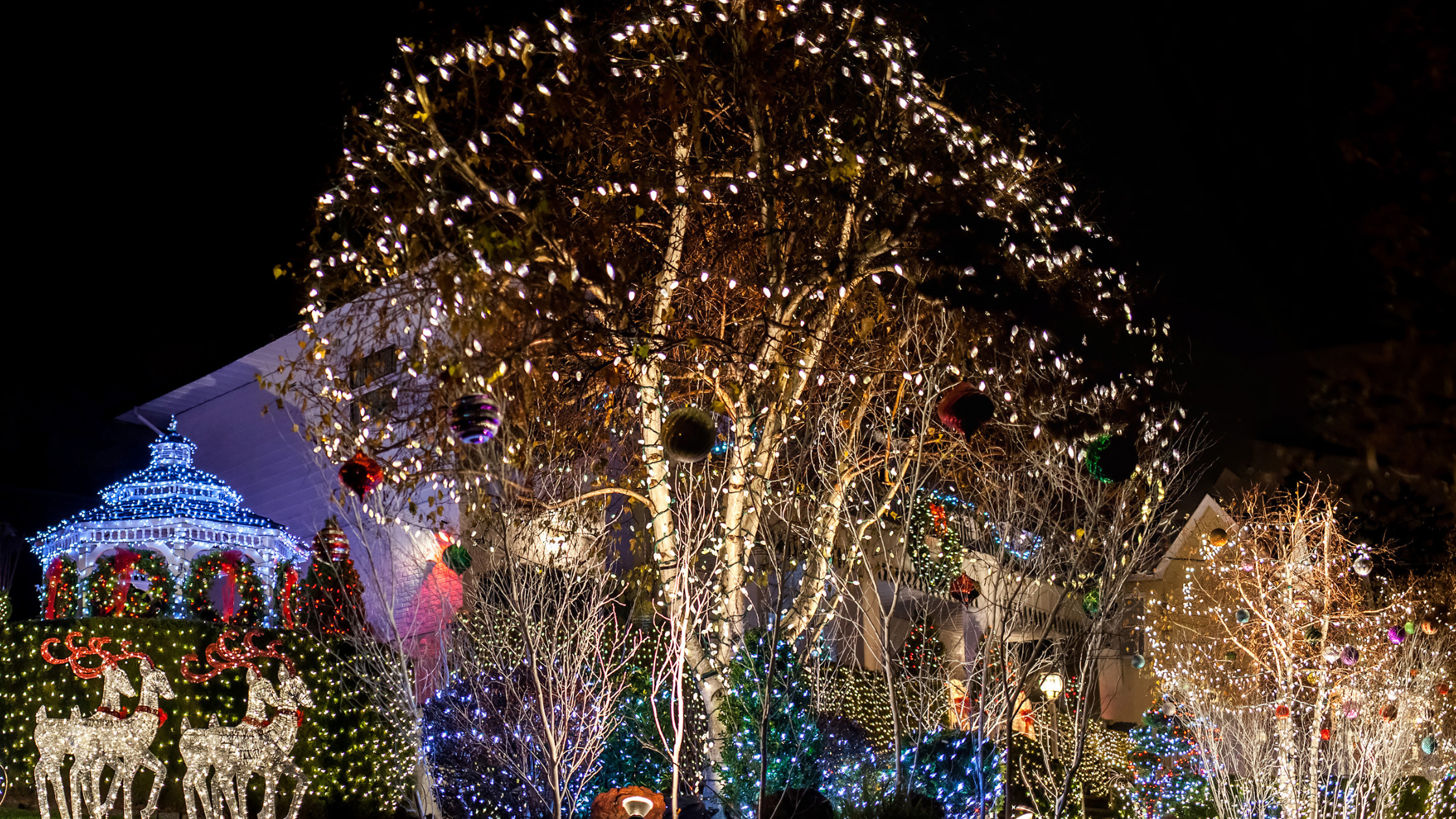 Bakersfield Christmas Lights