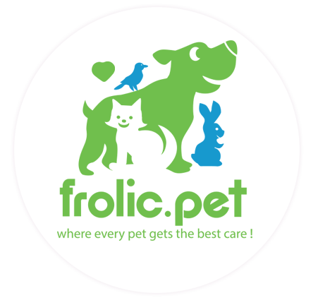 frolic.pet