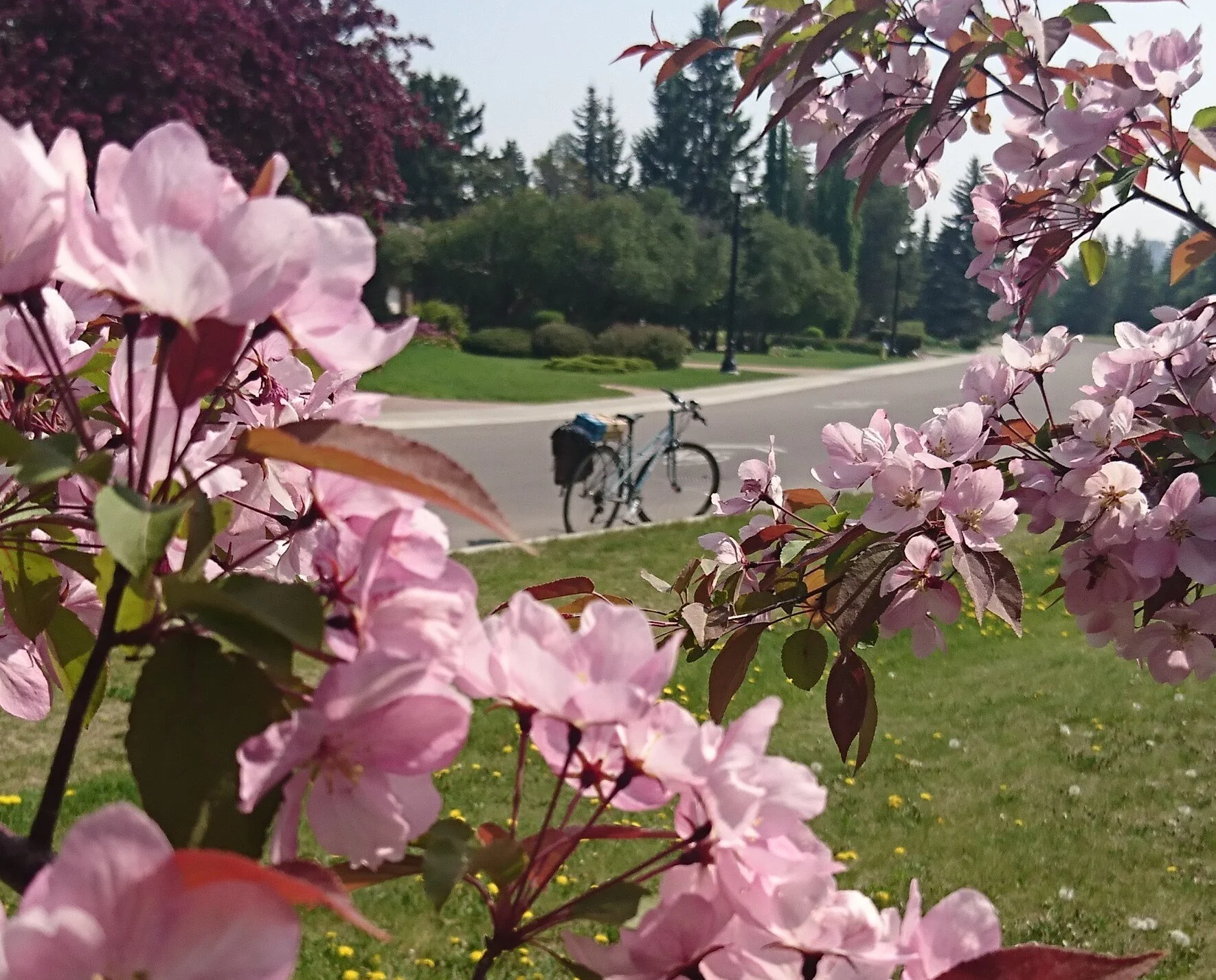 Community Garden Bike Tour August 15 2021 Ride Marshals Needed community-garden-bike-tour-august-15-2021-ride-marshals-needed