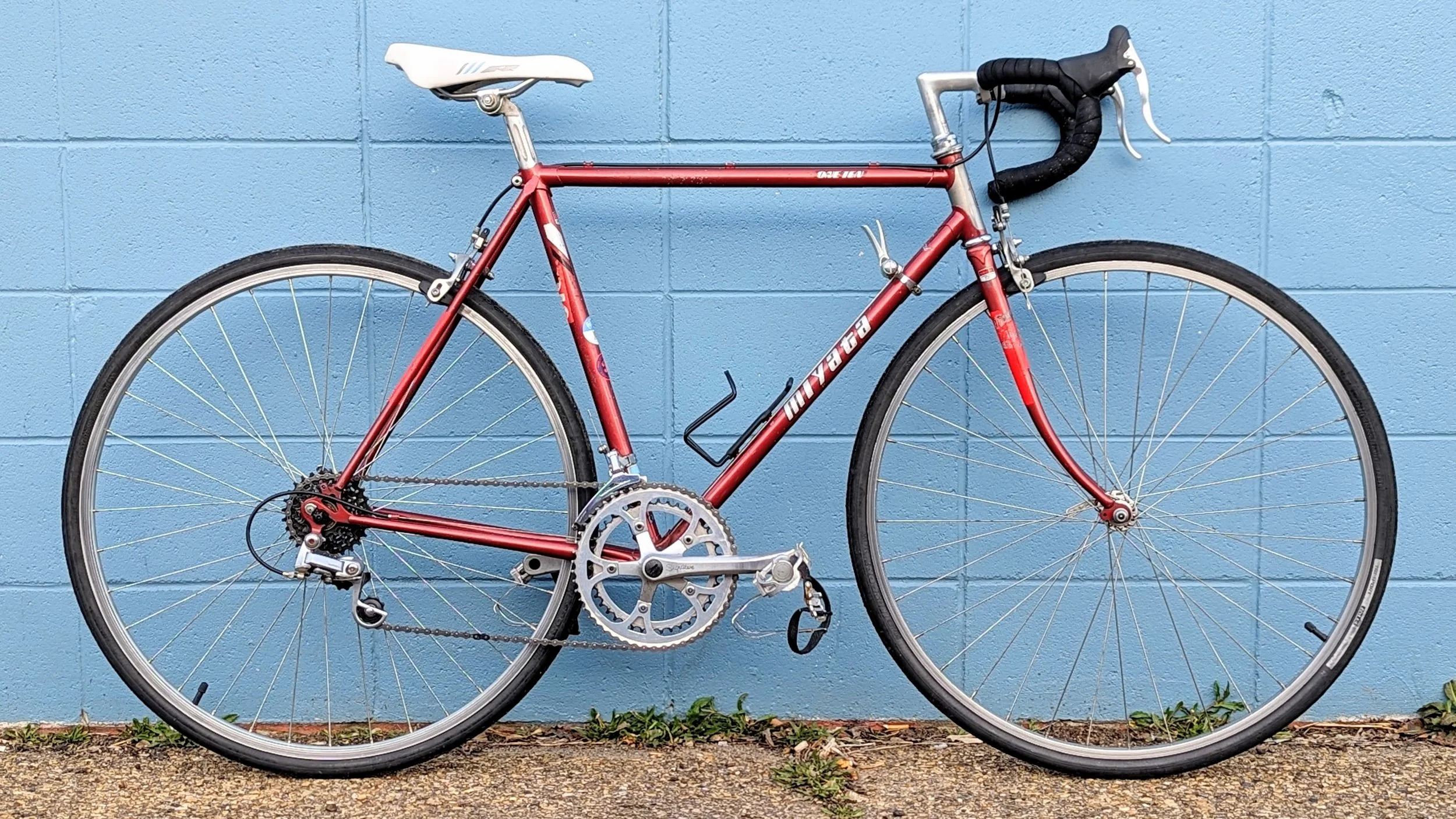 Medium Bikes for Sale — Bike Edmonton