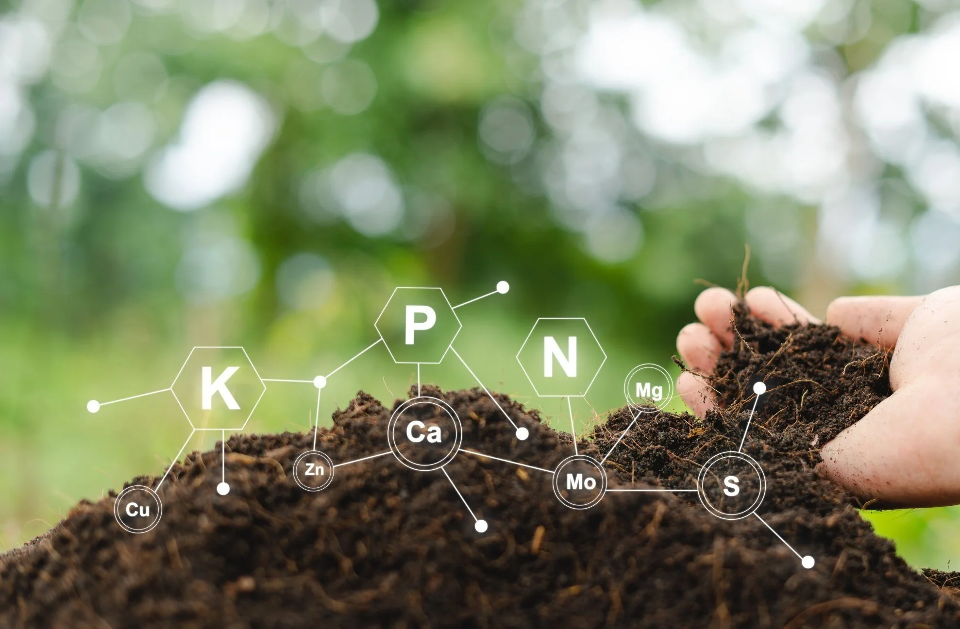 Hemp Farming | Start Sustainable Hemp Farming — British Hemp Alliance