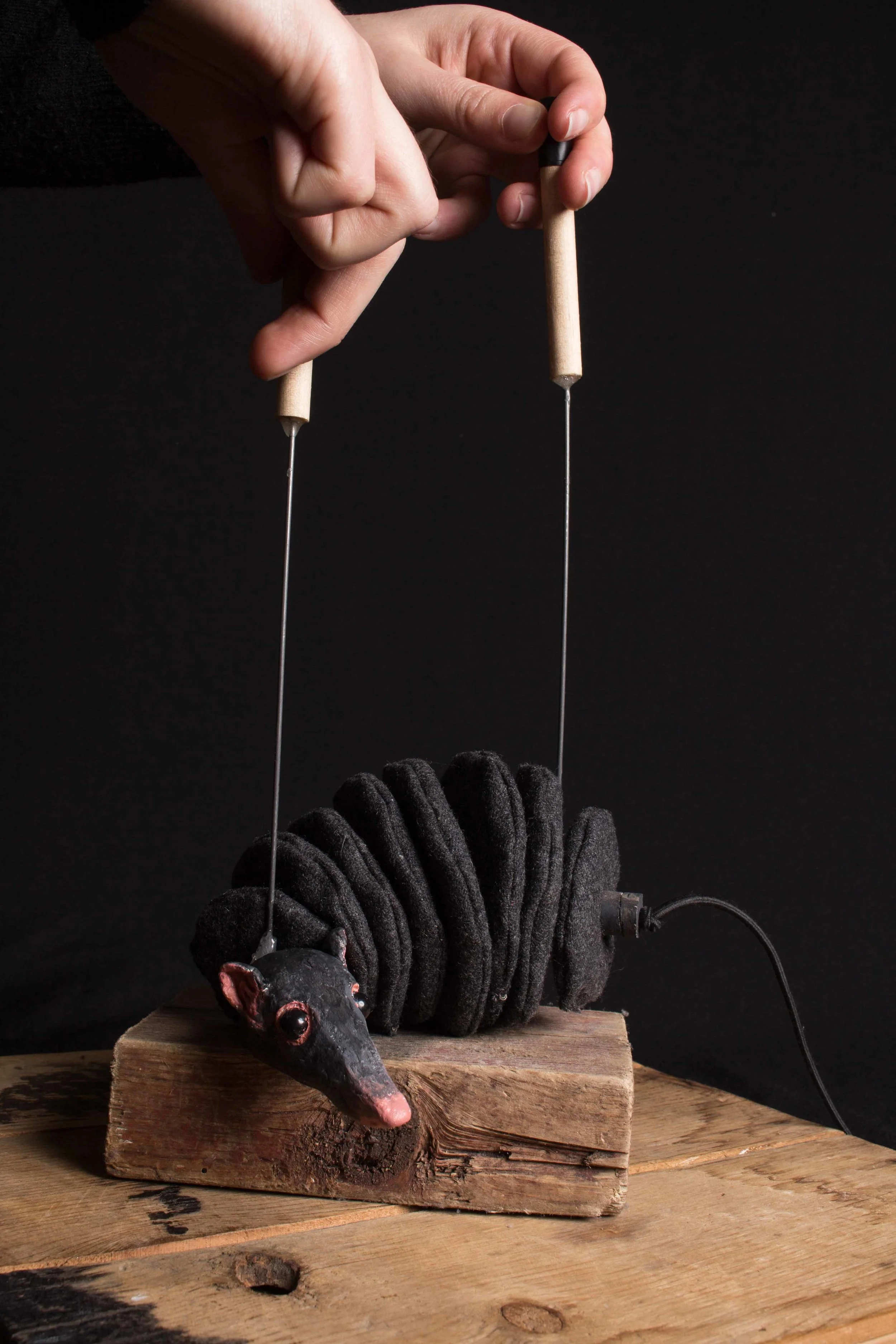 Puppets — Jo Elizabeth May