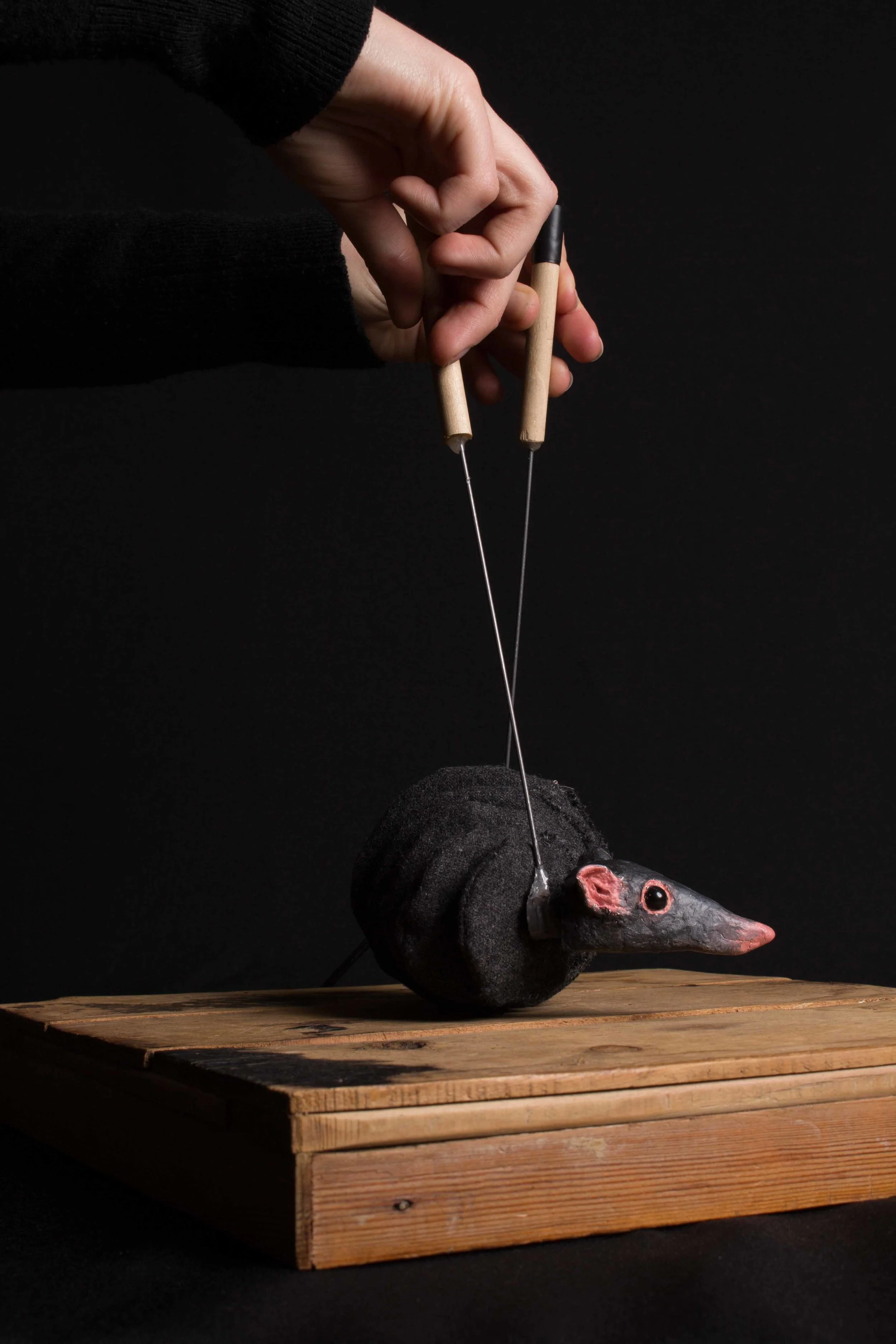 Puppets — Jo Elizabeth May