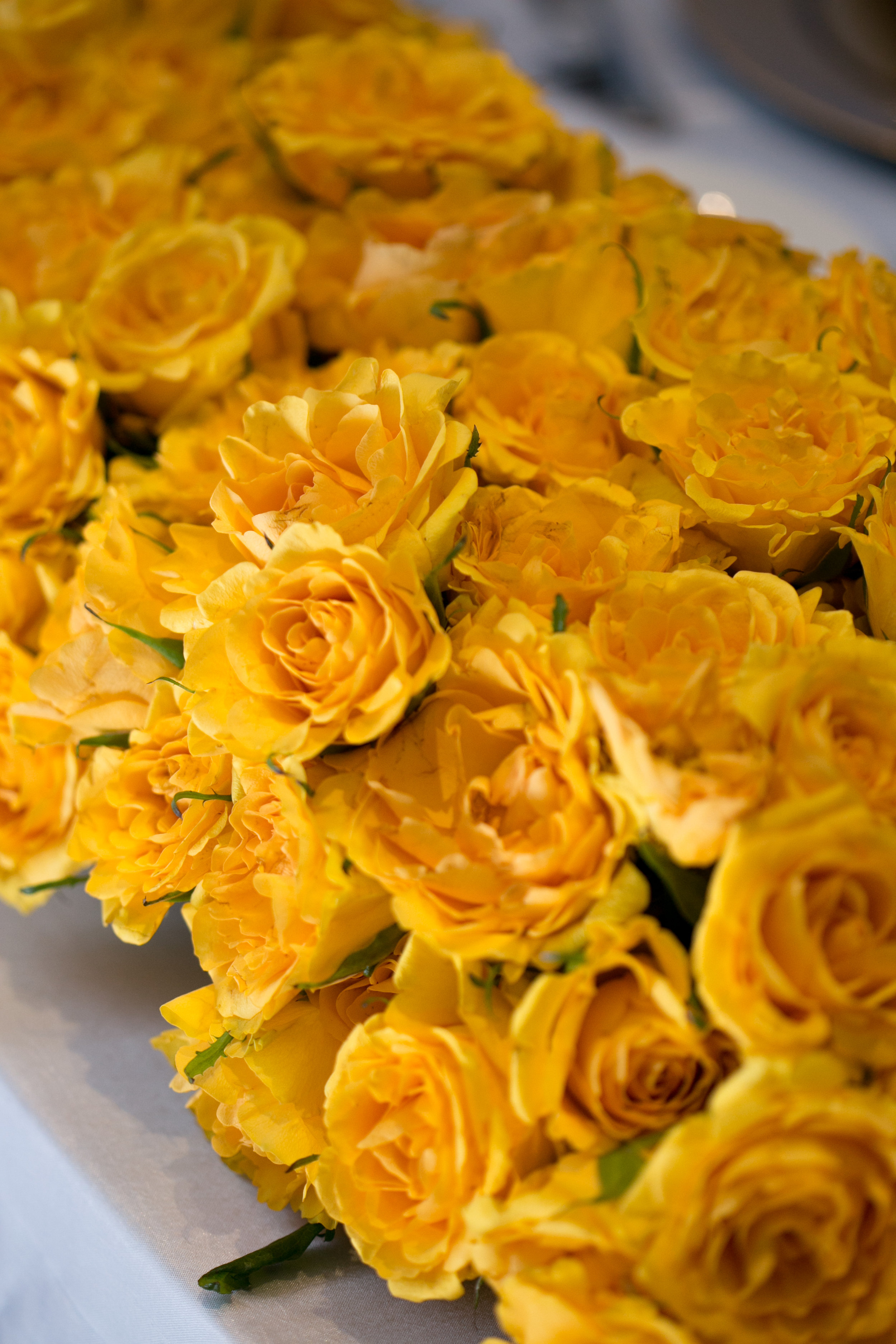 Ashley + Prescott — Kesha Lambert Photography