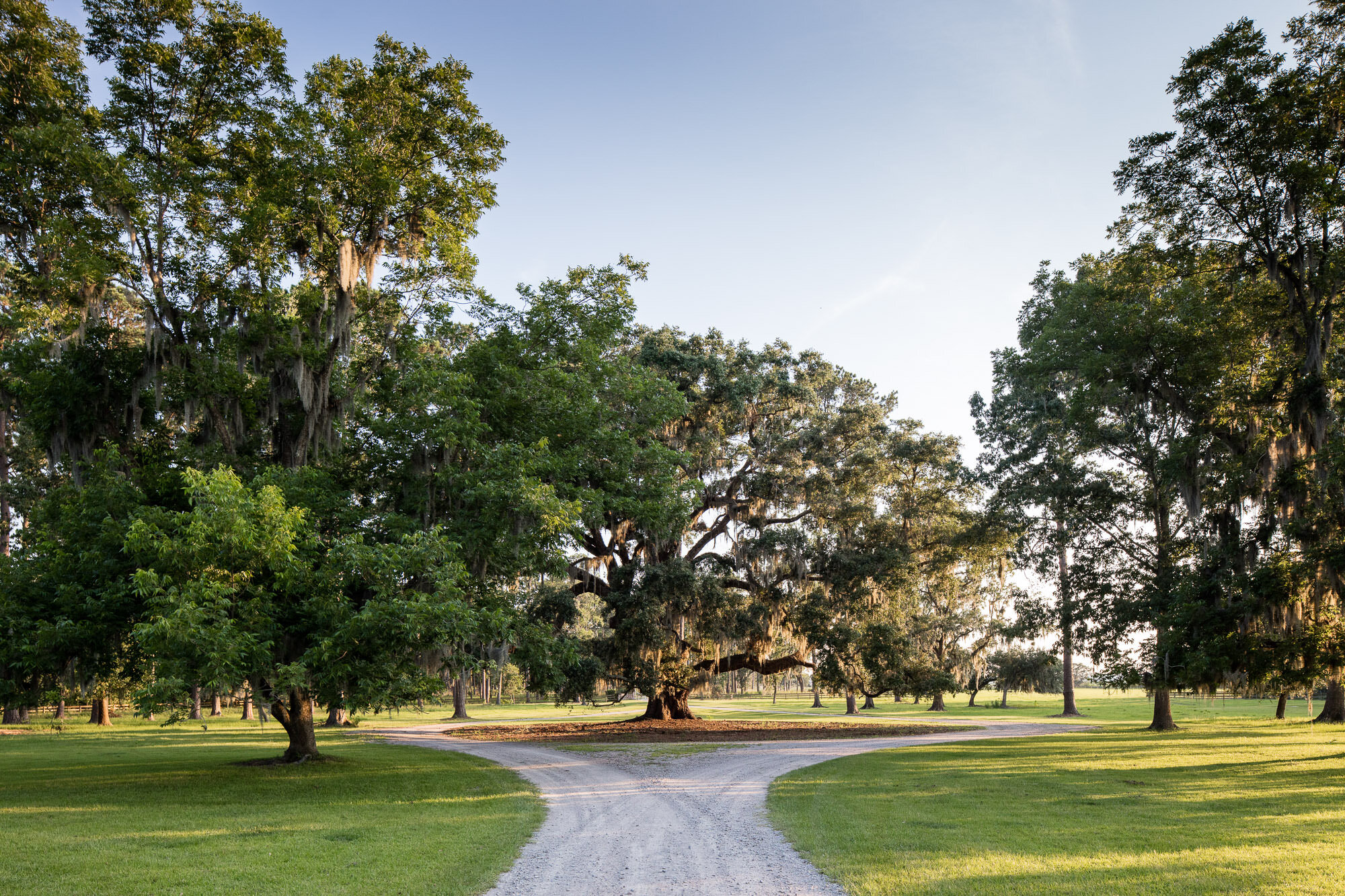 Low Country Plantation — Mike Kelley