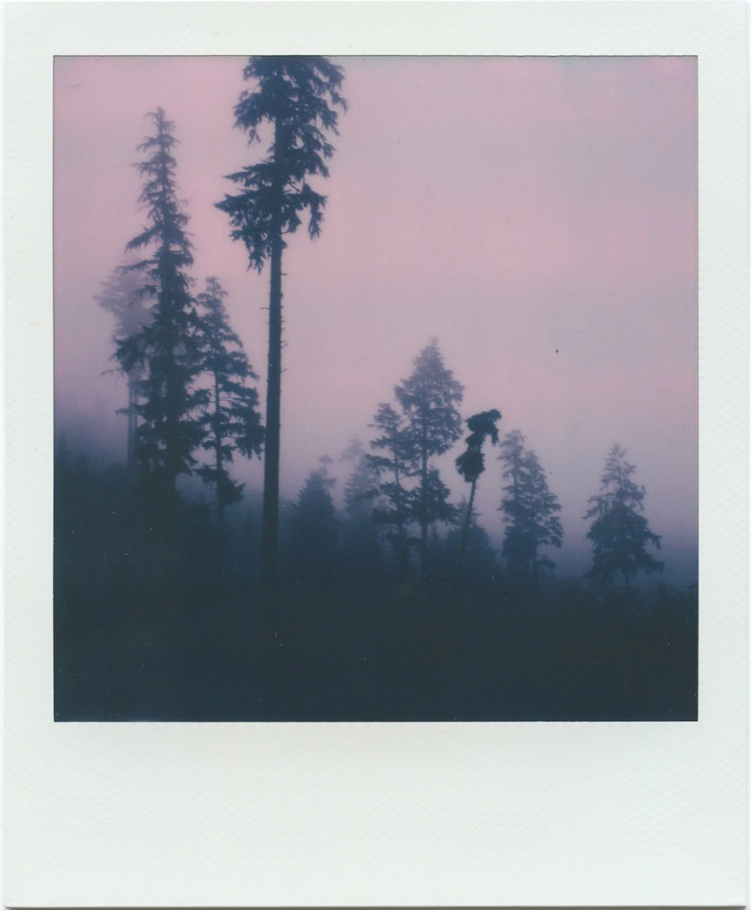 Featured Photographer: Jamie Swick - “Instant Transcendence” — Analog ...