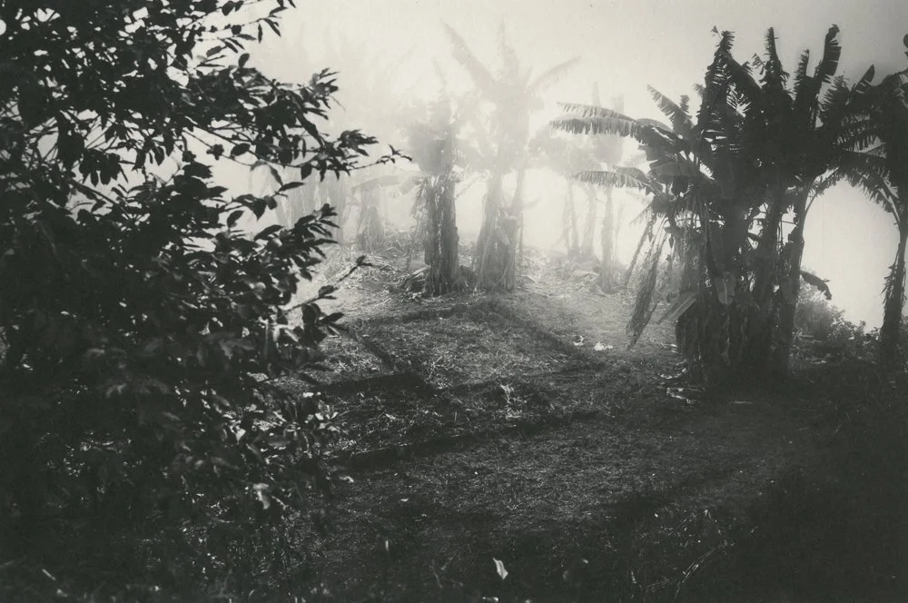 Book Review: Platinotype: Making Photographs in Platinum and Palladium ...