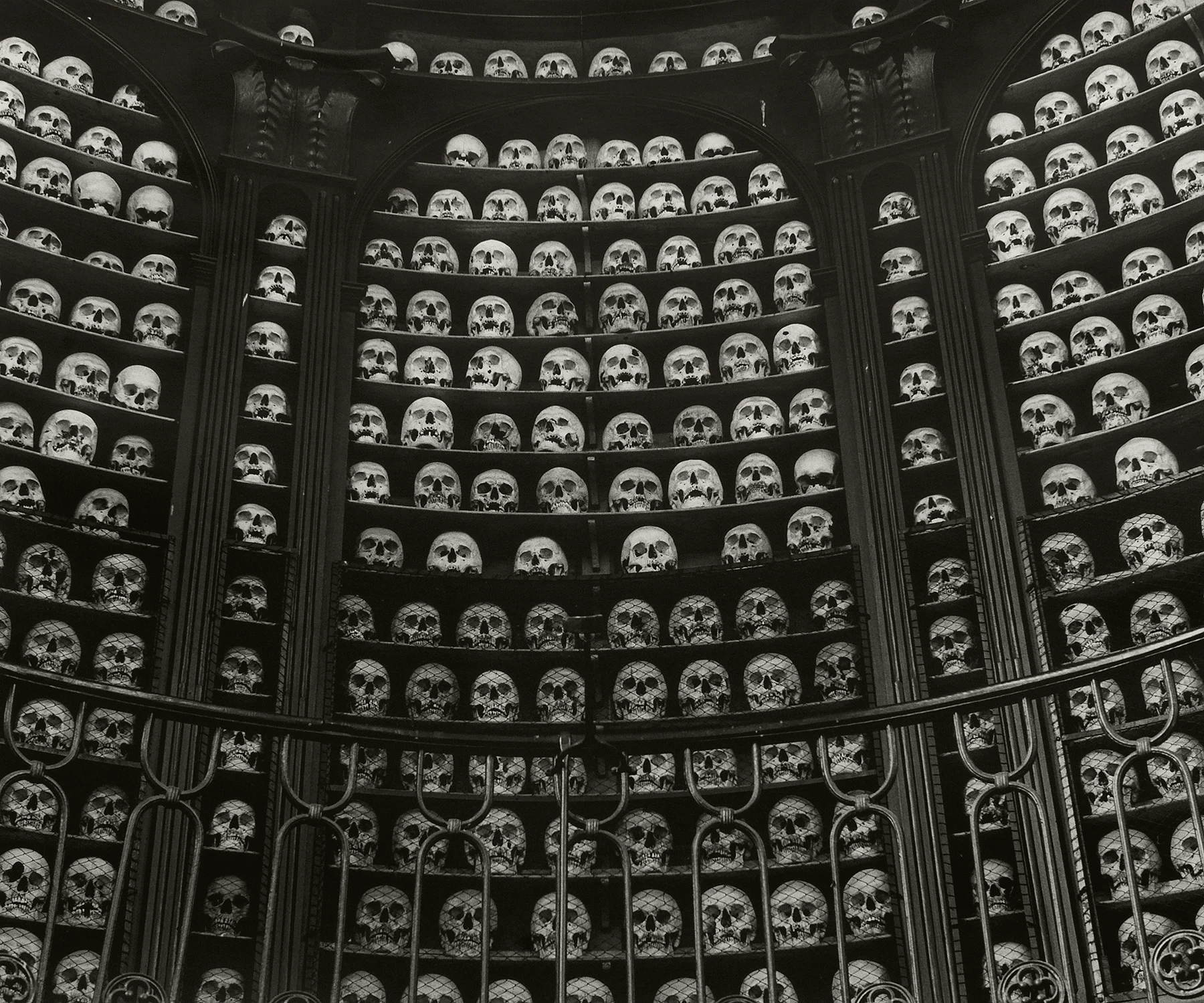 Online Group Exhibition - "Analog Forever" October 2018 — Analog ...