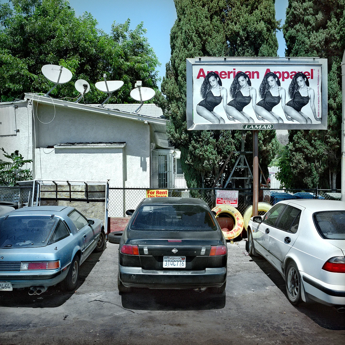 Interview: Thomas Alleman - A Dreamier View — Analog Forever Magazine