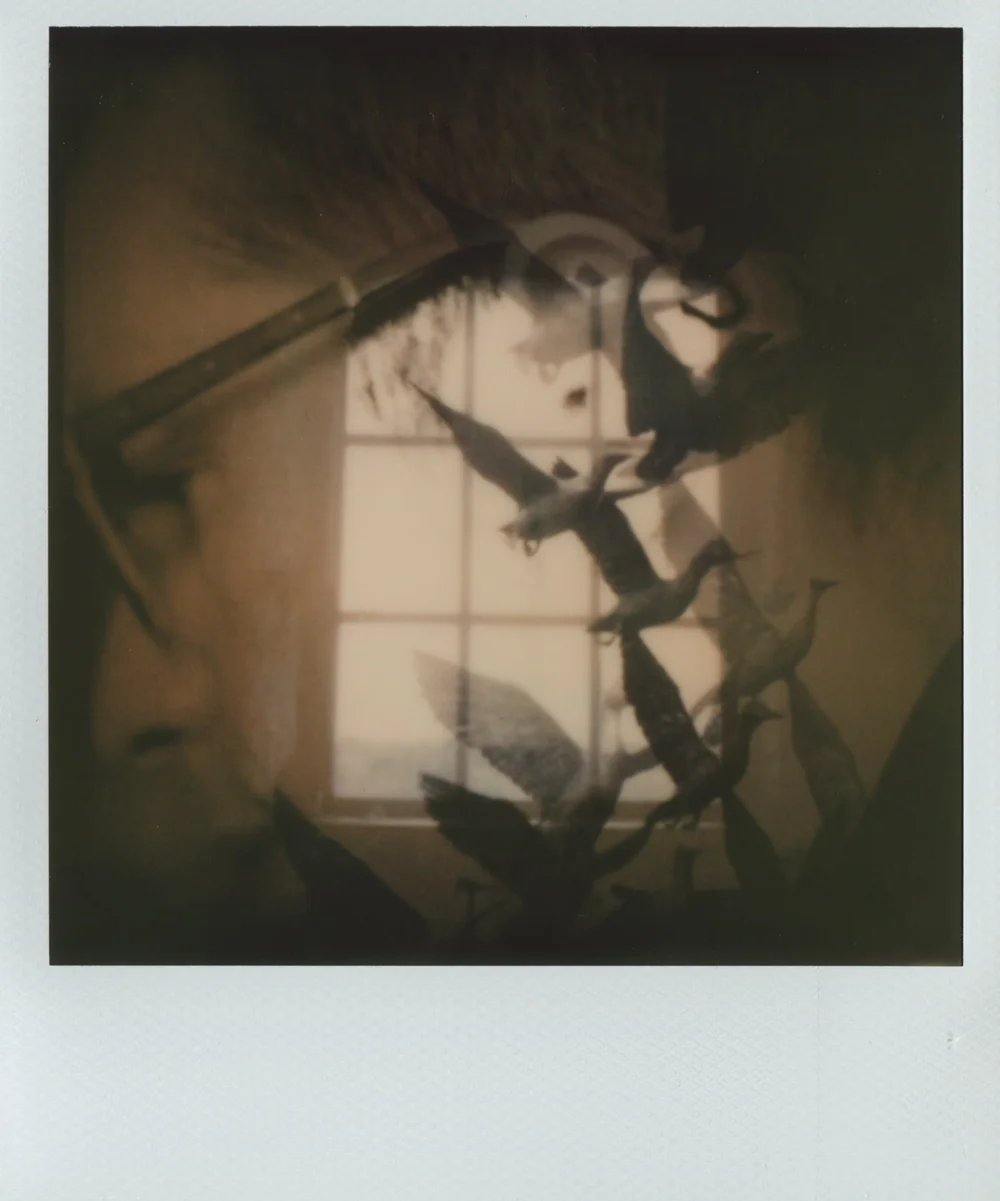 Community Spotlight: 12:12 Project - A Society of Instant Film Lovers ...