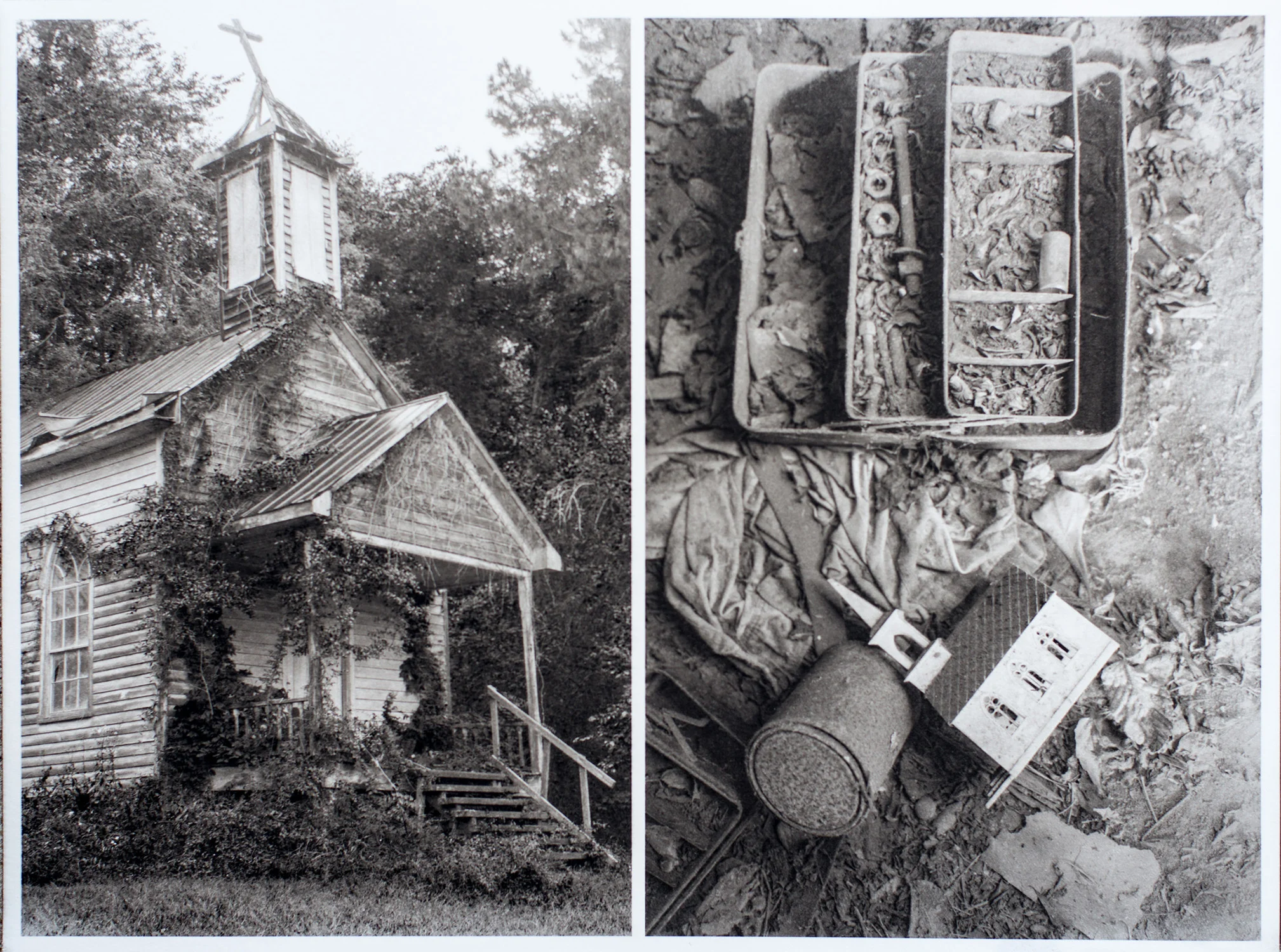 Book Review: Cyanotype - The Blue Print in Contemporary Practice by ...