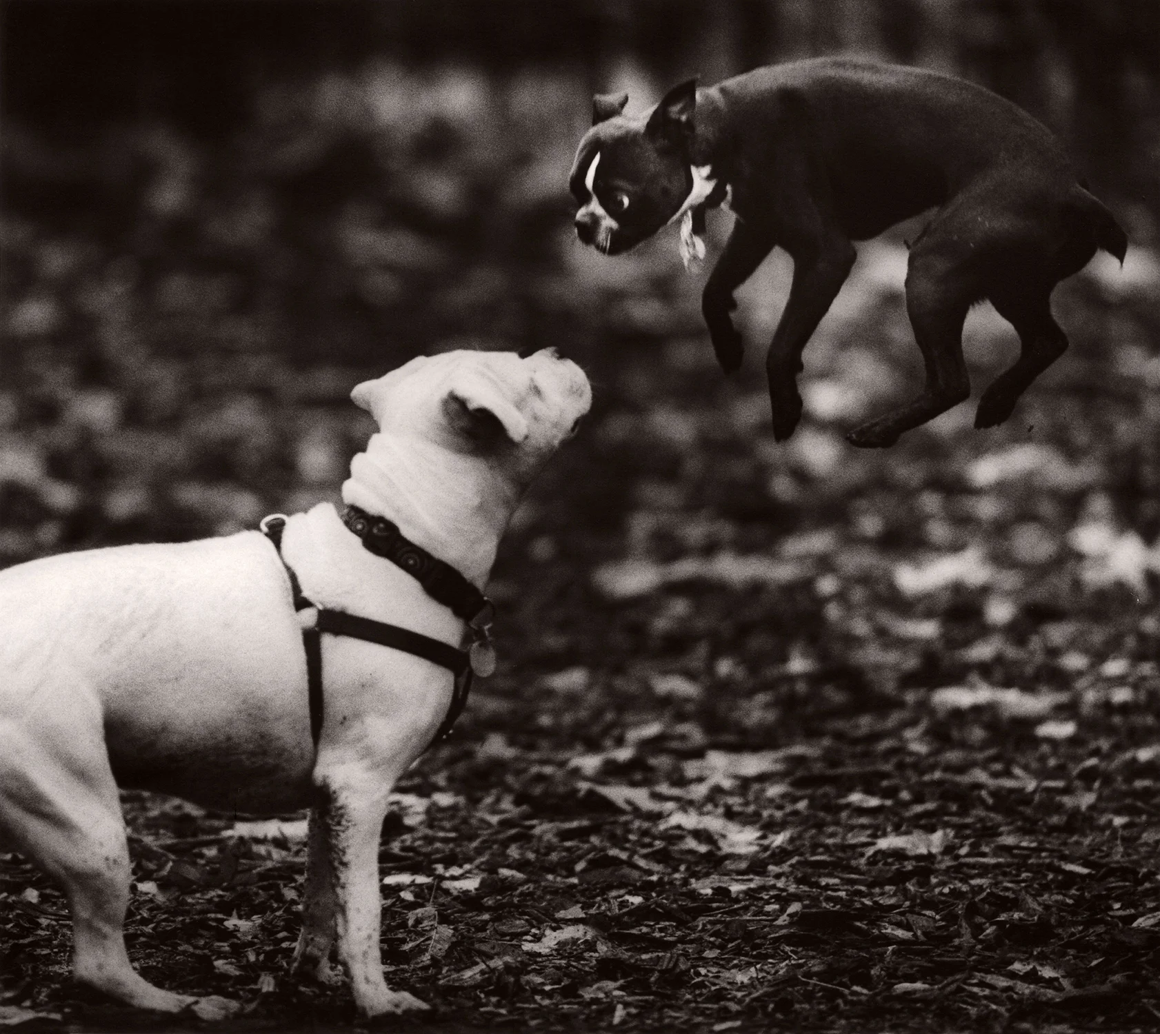 Featured Photographer: Michael Crouser – Storytelling and the Art of ...