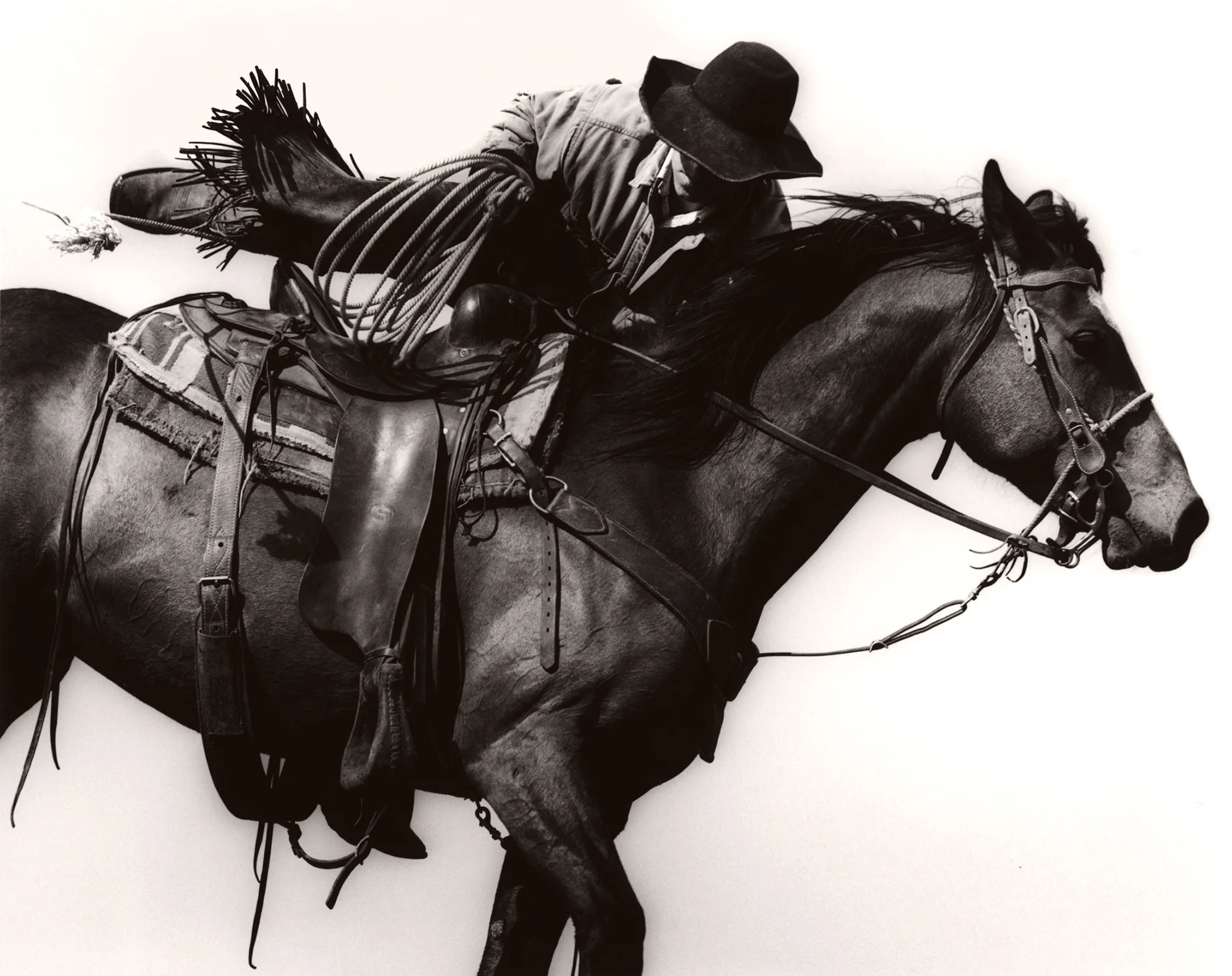 Featured Photographer: Michael Crouser – Storytelling and the Art of ...