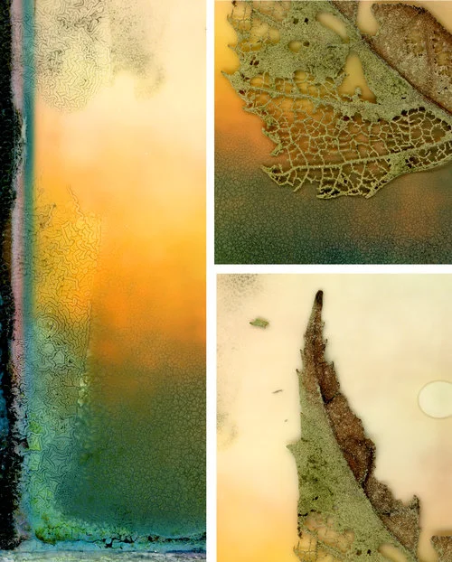 Interview: Graeme Webb's Photobook "Last Vestiges - The Exhumed Project ...