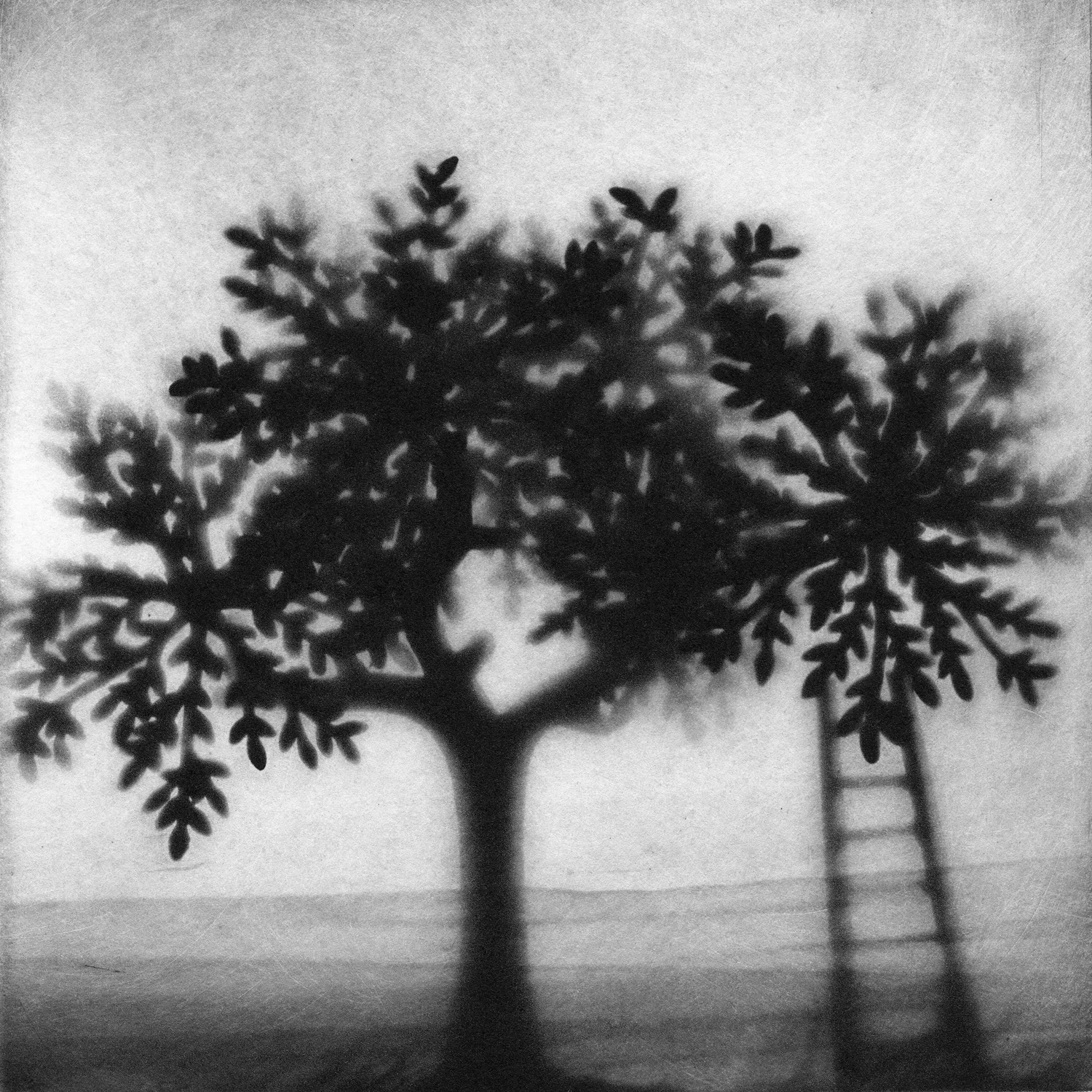 Interview: Jennifer Shaw - It's Personal — Analog Forever Magazine