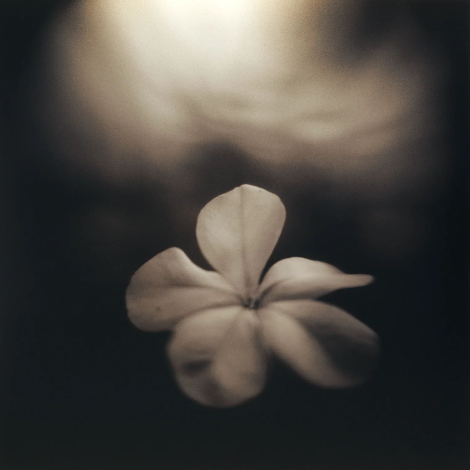 Interview: Jennifer Shaw - It's Personal — Analog Forever Magazine