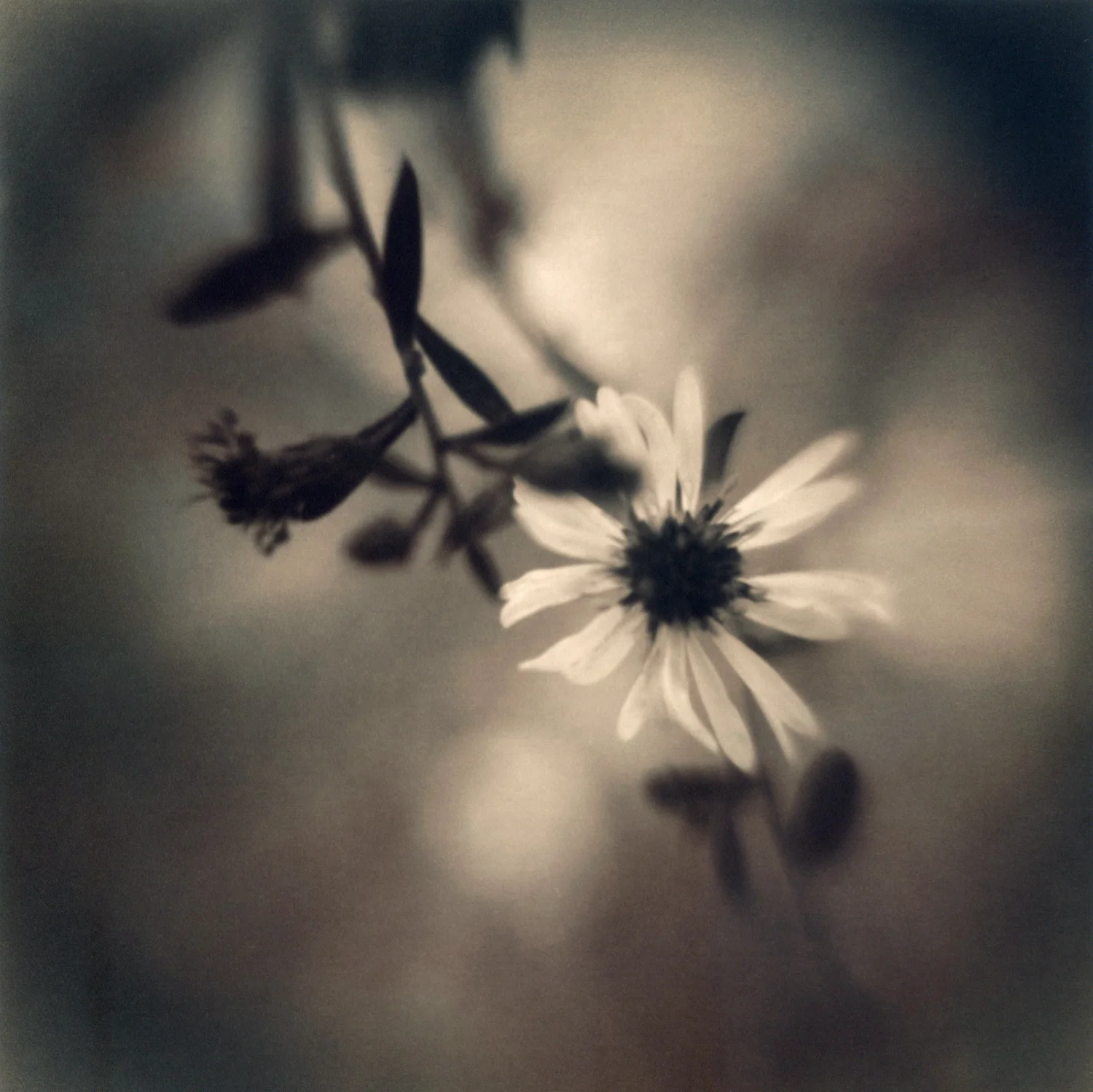 Interview: Jennifer Shaw - It's Personal — Analog Forever Magazine