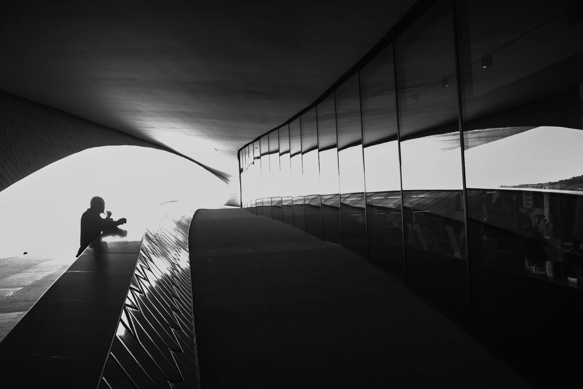 Book Review: Curiosities by Daniel Efram — Analog Forever Magazine