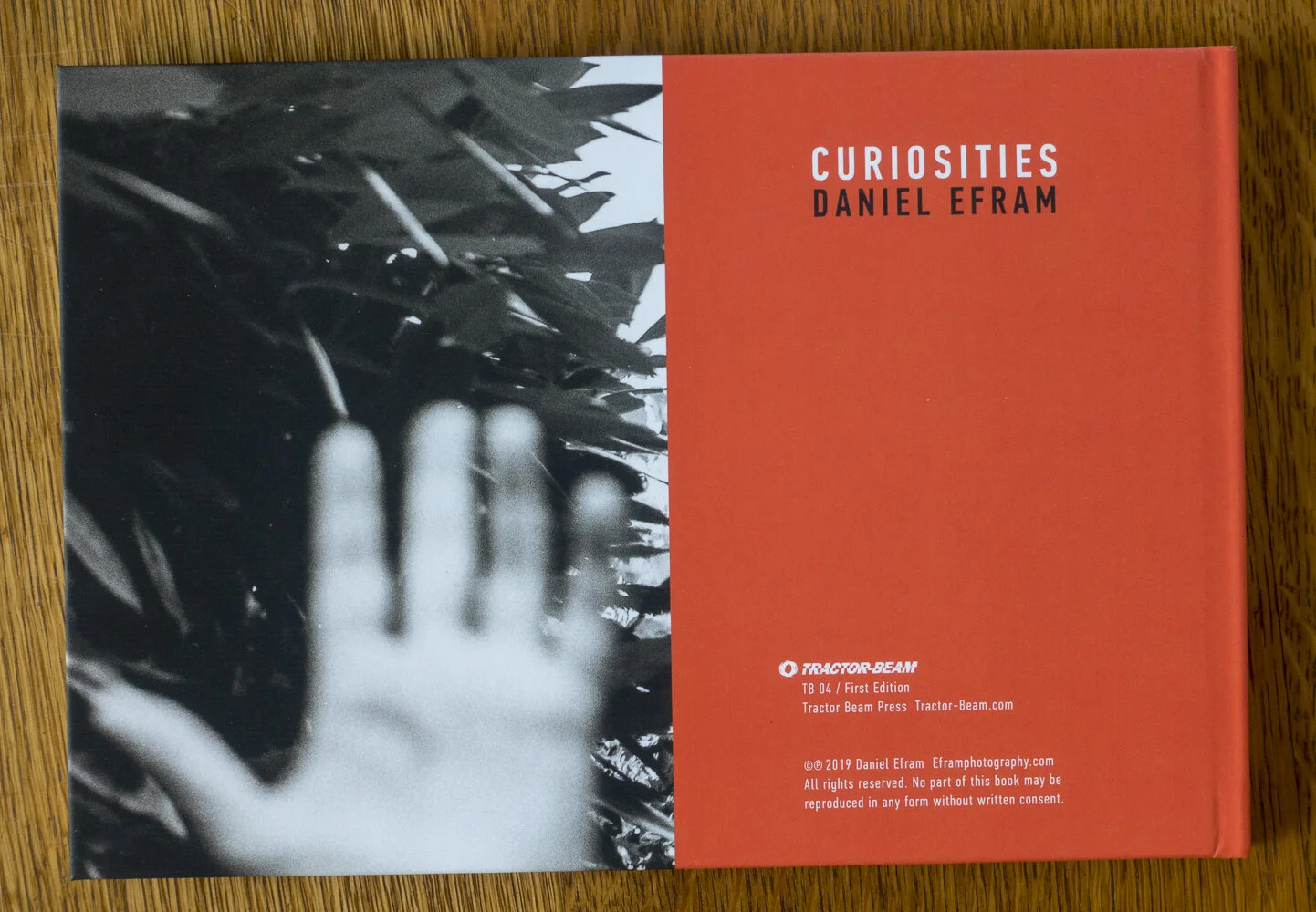 Book Review: Curiosities by Daniel Efram — Analog Forever Magazine