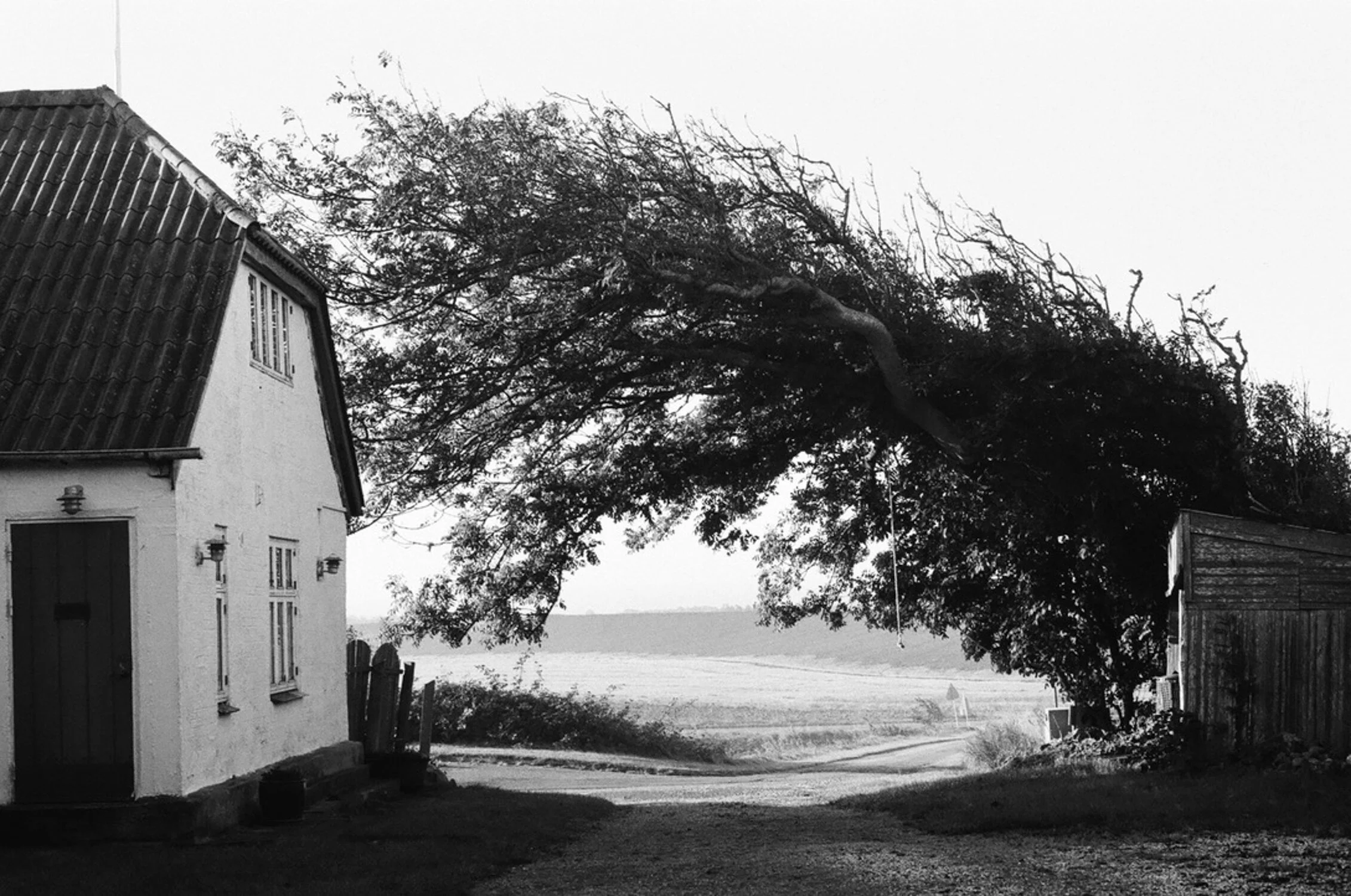 Magic Realism Photography