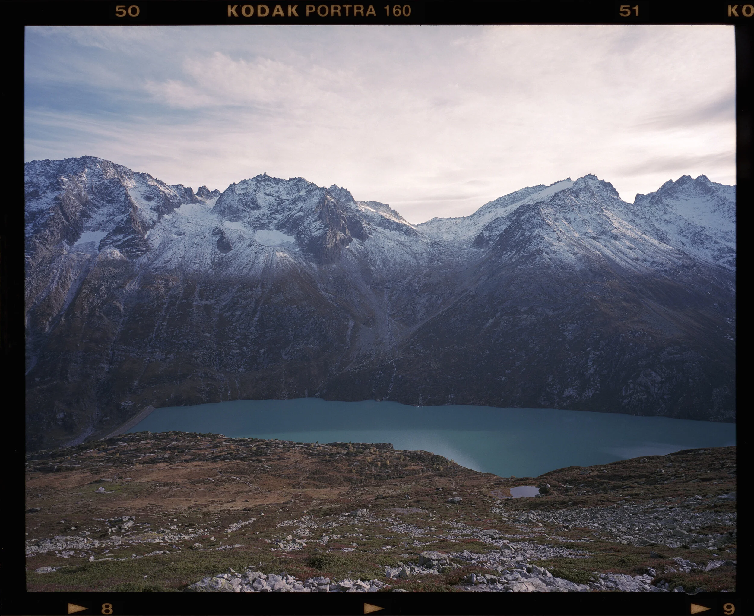 Featured Photographer: Daniel Kobi - In Pursuit of Nature — Analog ...