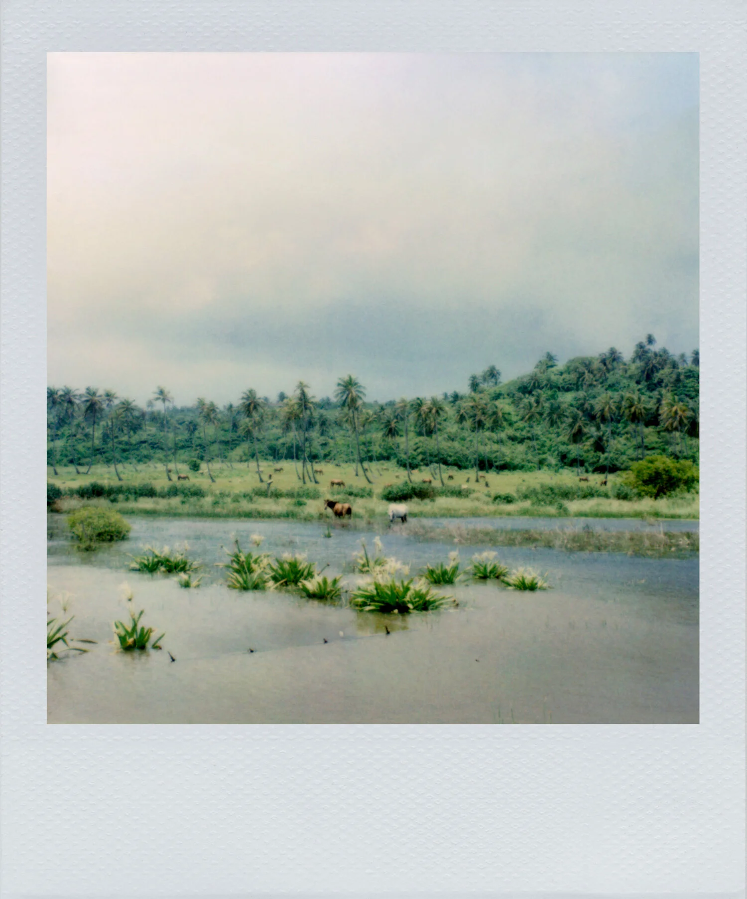 Interview: Matthew O'Brien - No Dar Papaya: Fotografías de Colombia ...