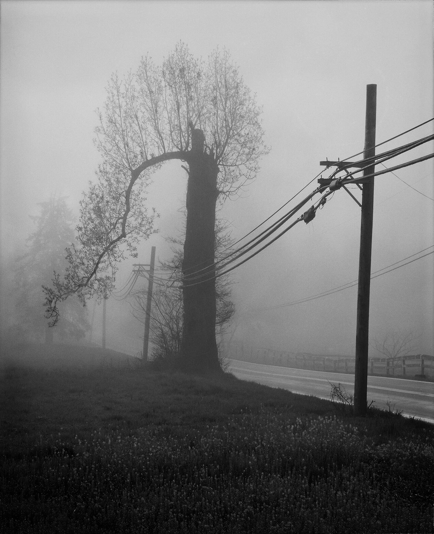 32 Inspiring Analog Photographs — Analog Forever Magazine