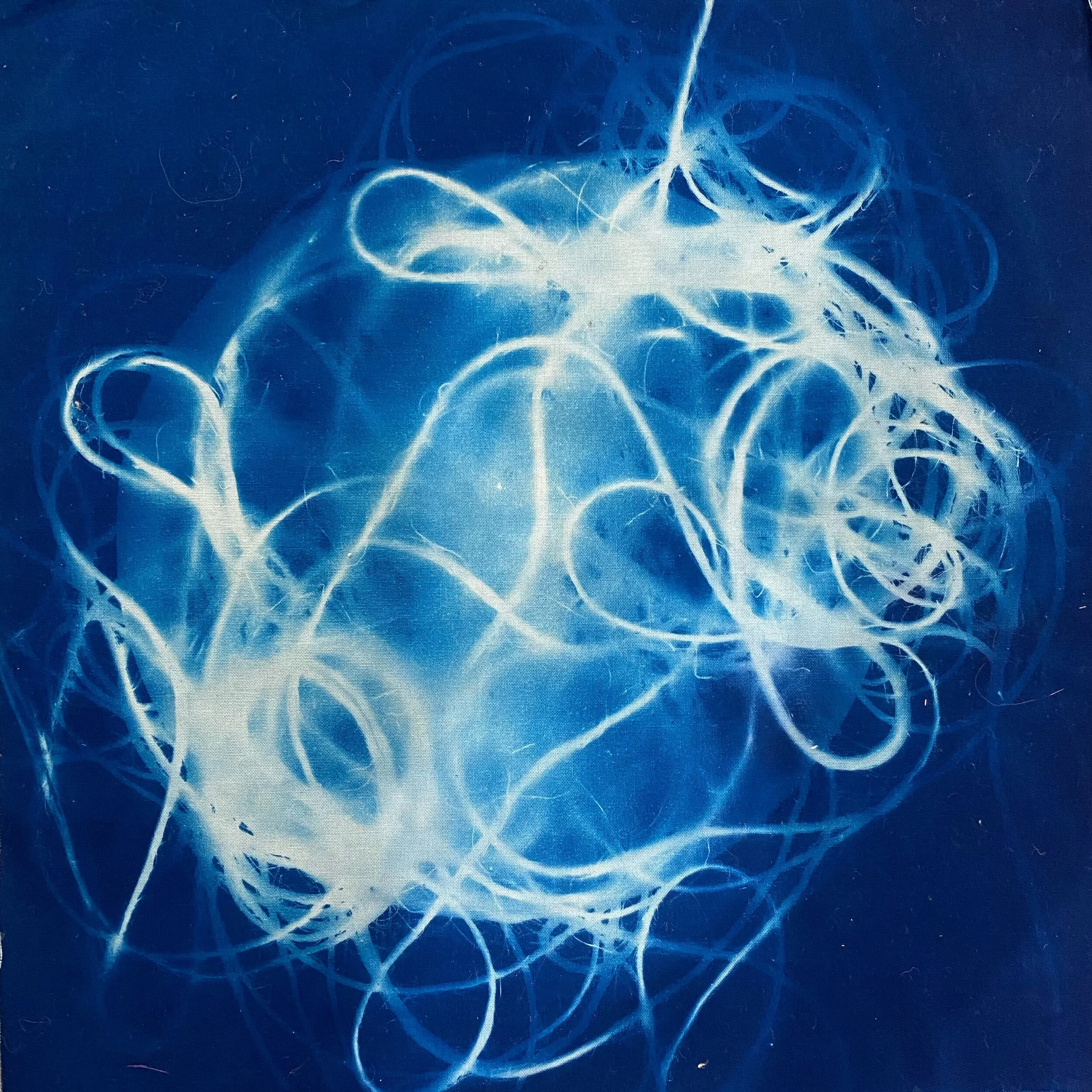 World Cyanotype Day: A Celebration with A Smith Gallery — Analog ...