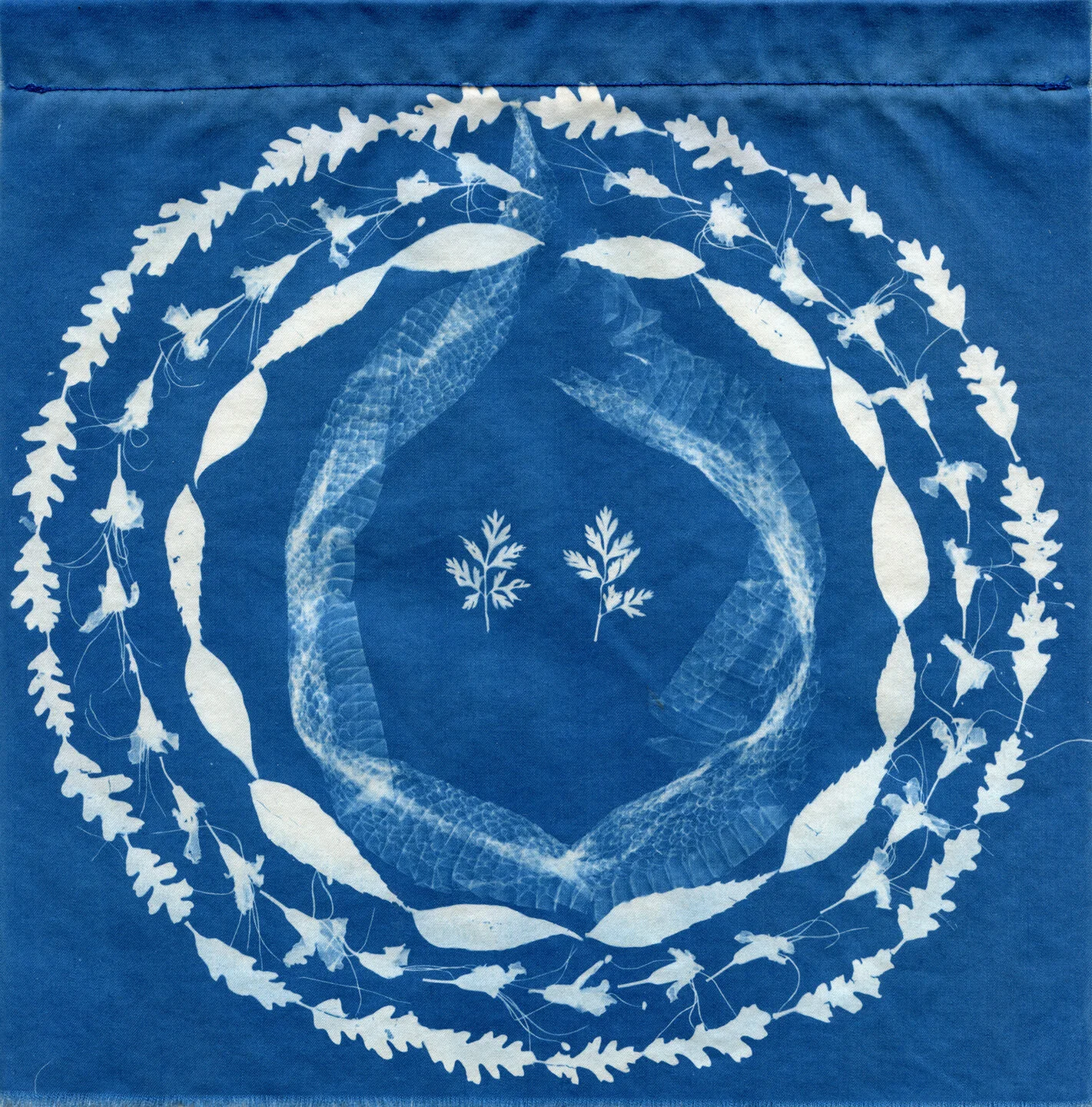 World Cyanotype Day: A Celebration with A Smith Gallery — Analog ...