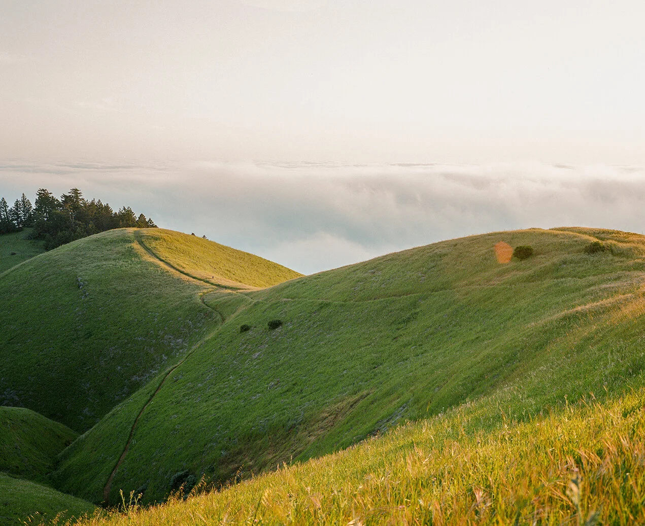 20 Mamiya 7 Photographers You Need to Know! — Analog Forever Magazine