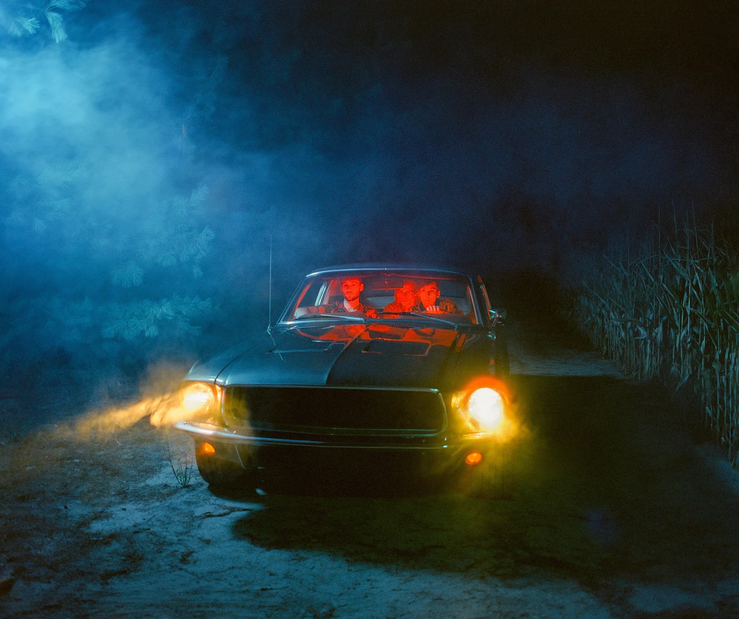 20 CineStill Film Photographers You Need to Know! — Analog Forever Magazine