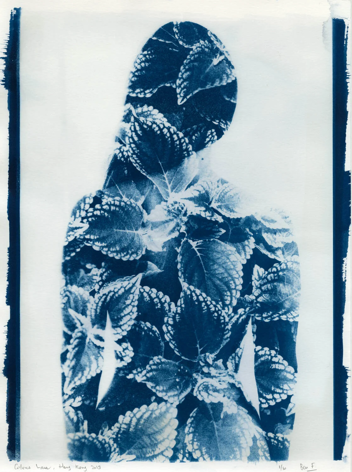The Largest Curated Gallery of Cyanotypes of 2021 — Analog Forever Magazine