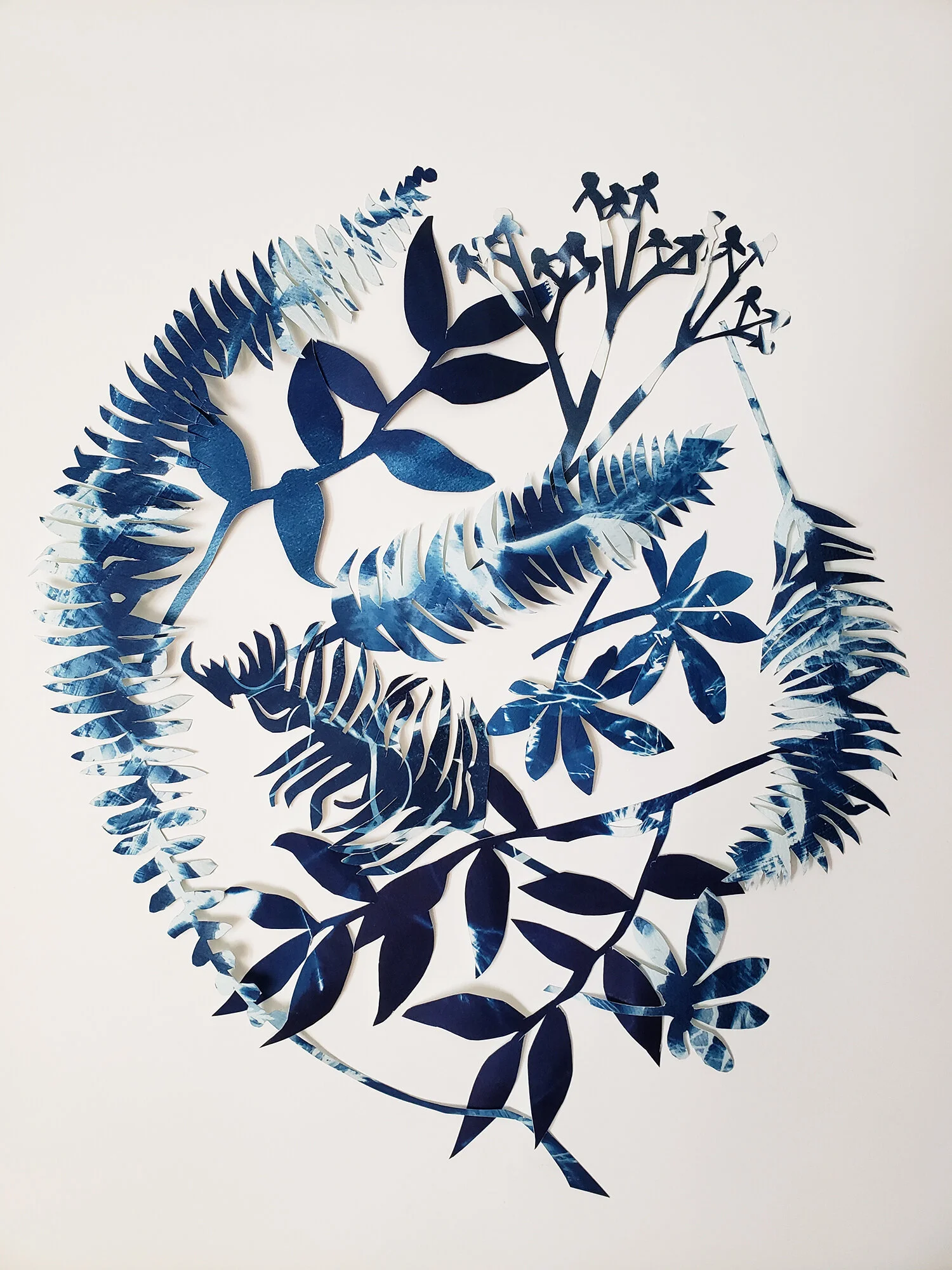 The Largest Curated Gallery of Cyanotypes of 2021 — Analog Forever Magazine