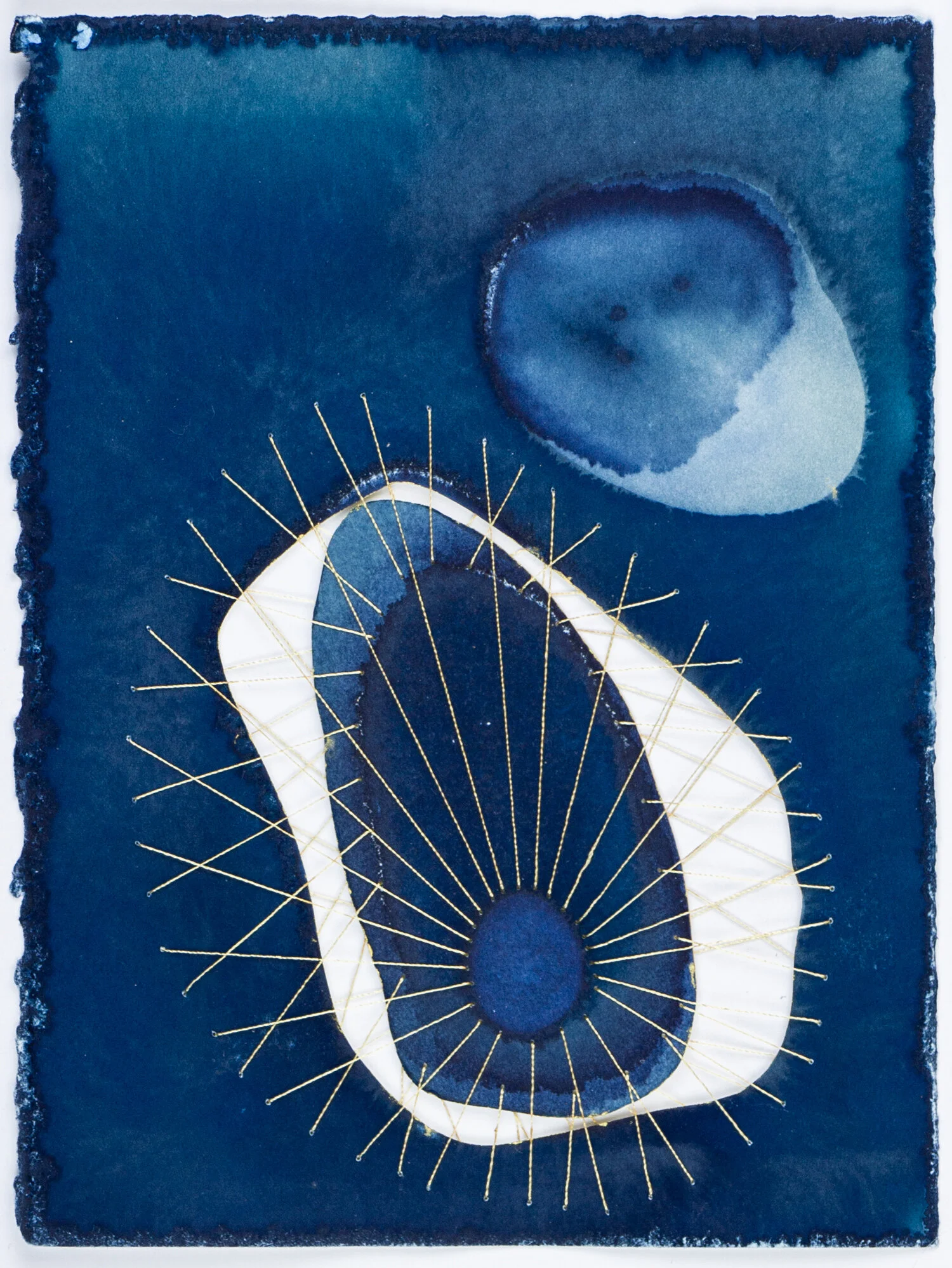 The Largest Curated Gallery of Cyanotypes of 2021 — Analog Forever Magazine